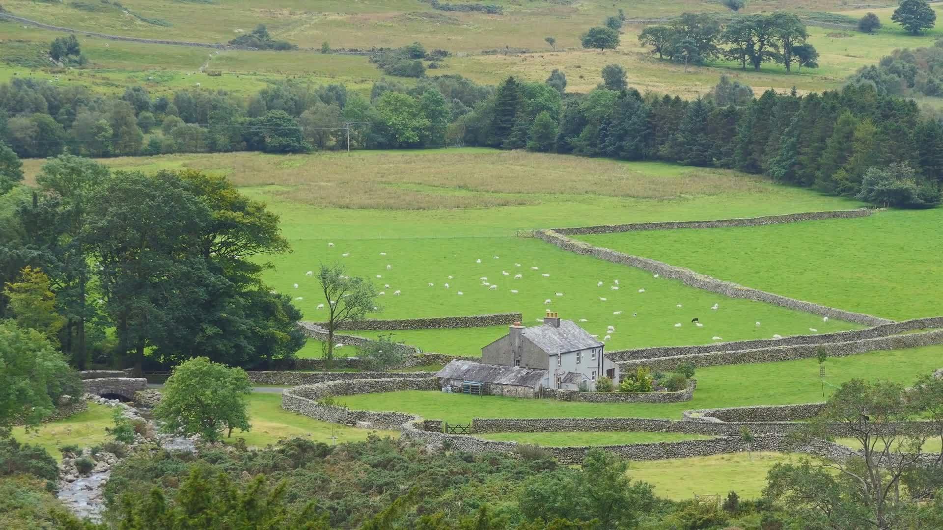 Countryside Charm Videos, Download The BEST Free 4k Stock Video Footage ...