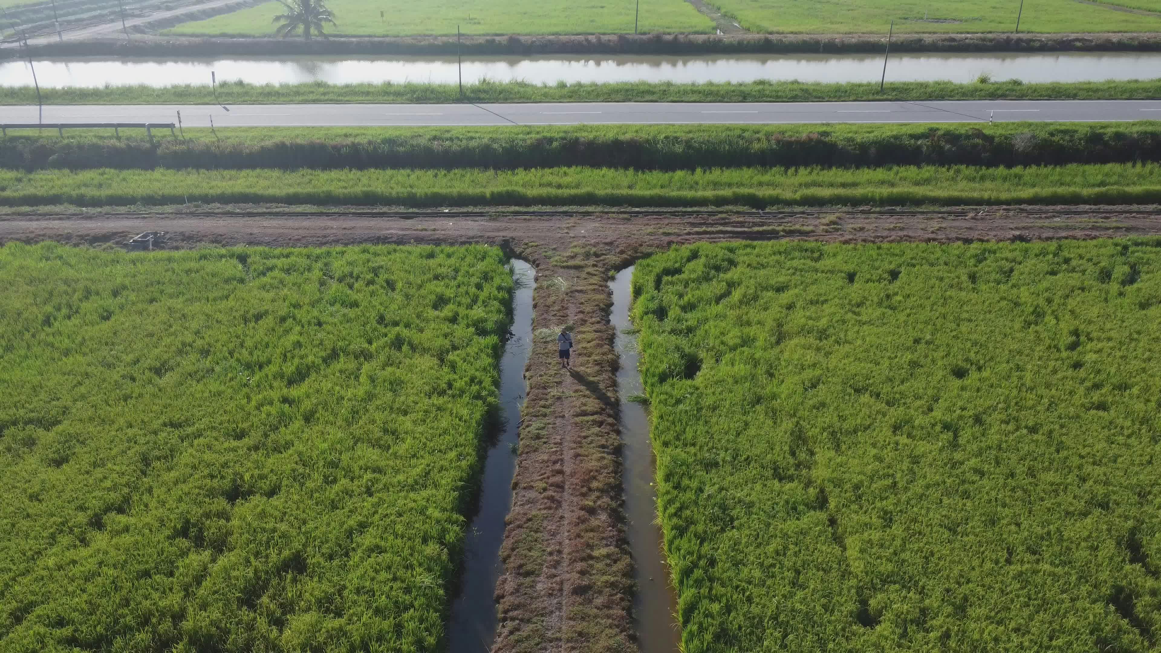 Plot Na Plot Videos, Download The BEST Free 4k Stock Video Footage ...