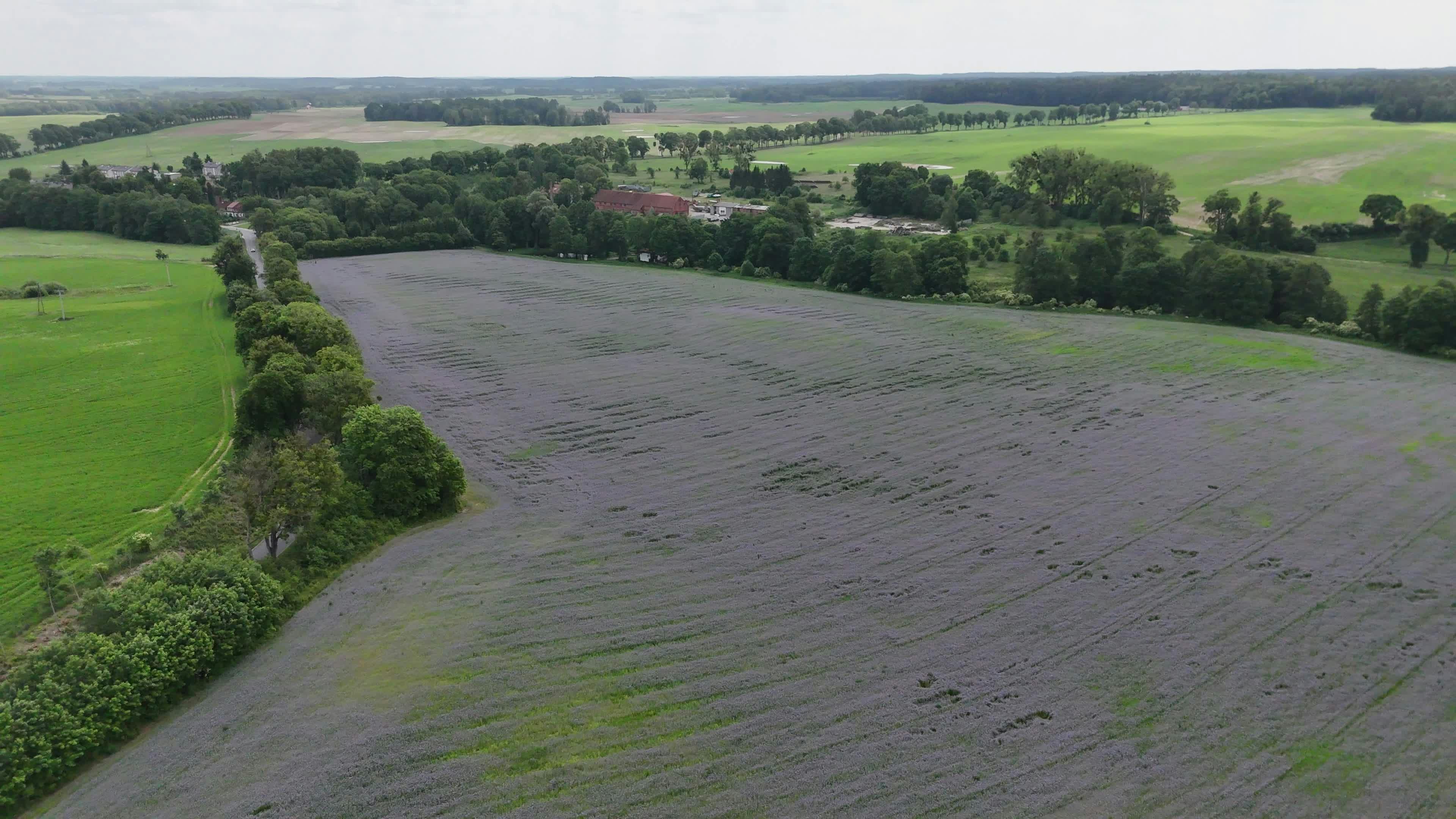 Environmental Standards Videos, Download The BEST Free 4k Stock Video ...