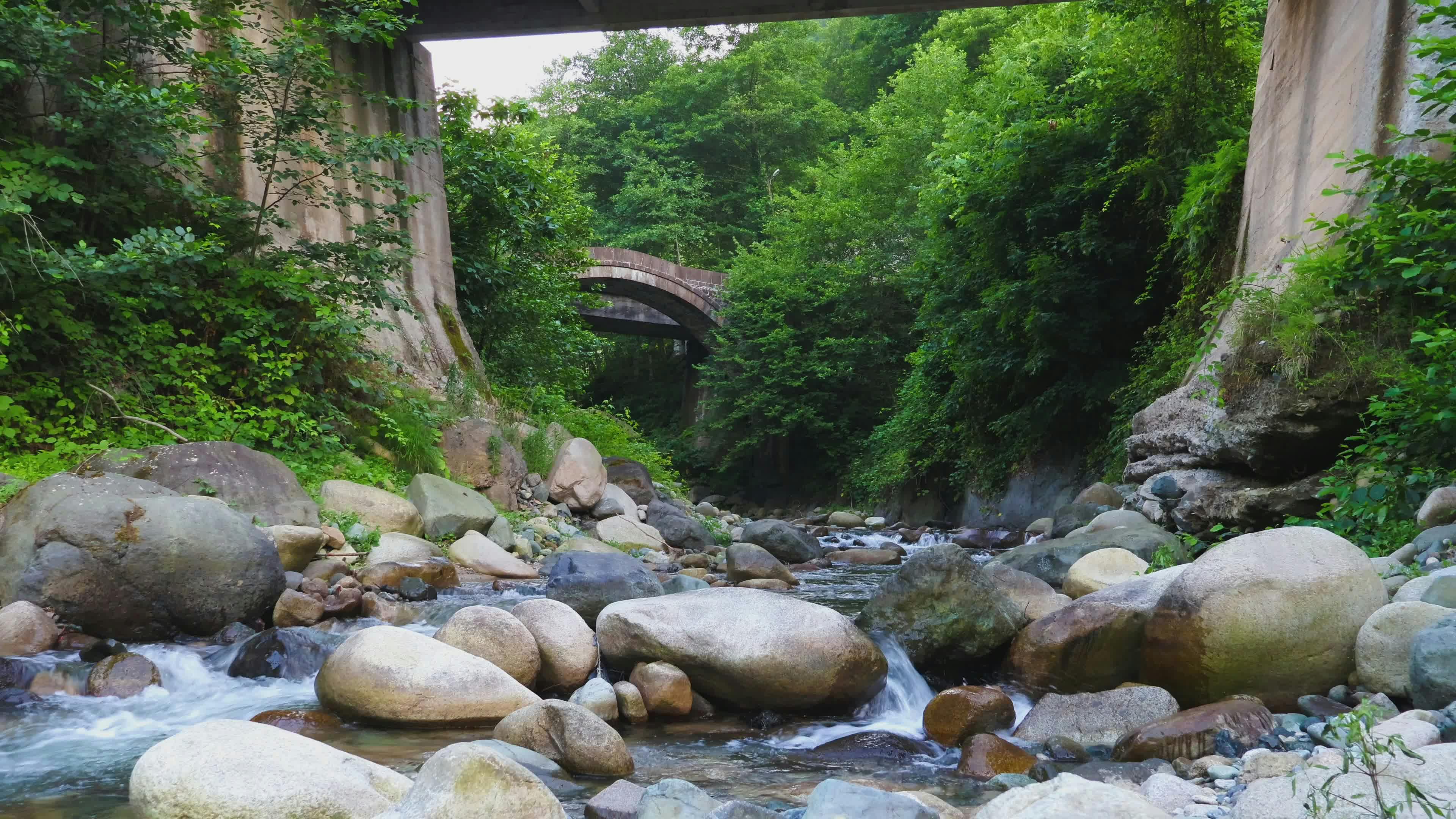 Tropical Creek Videos, Download The BEST Free 4k Stock Video Footage ...