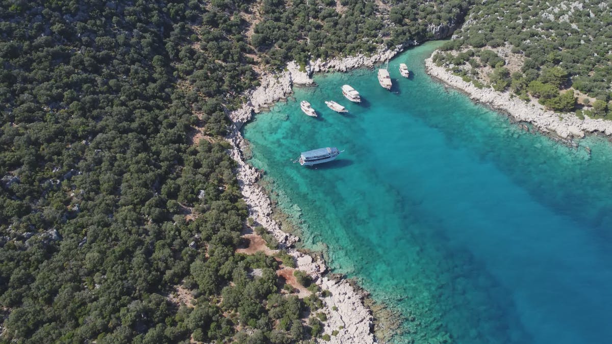 Lesbian+Golden+Shower+Videos Videos, Download The BEST Free 4k Stock Video Footage & Lesbian ...