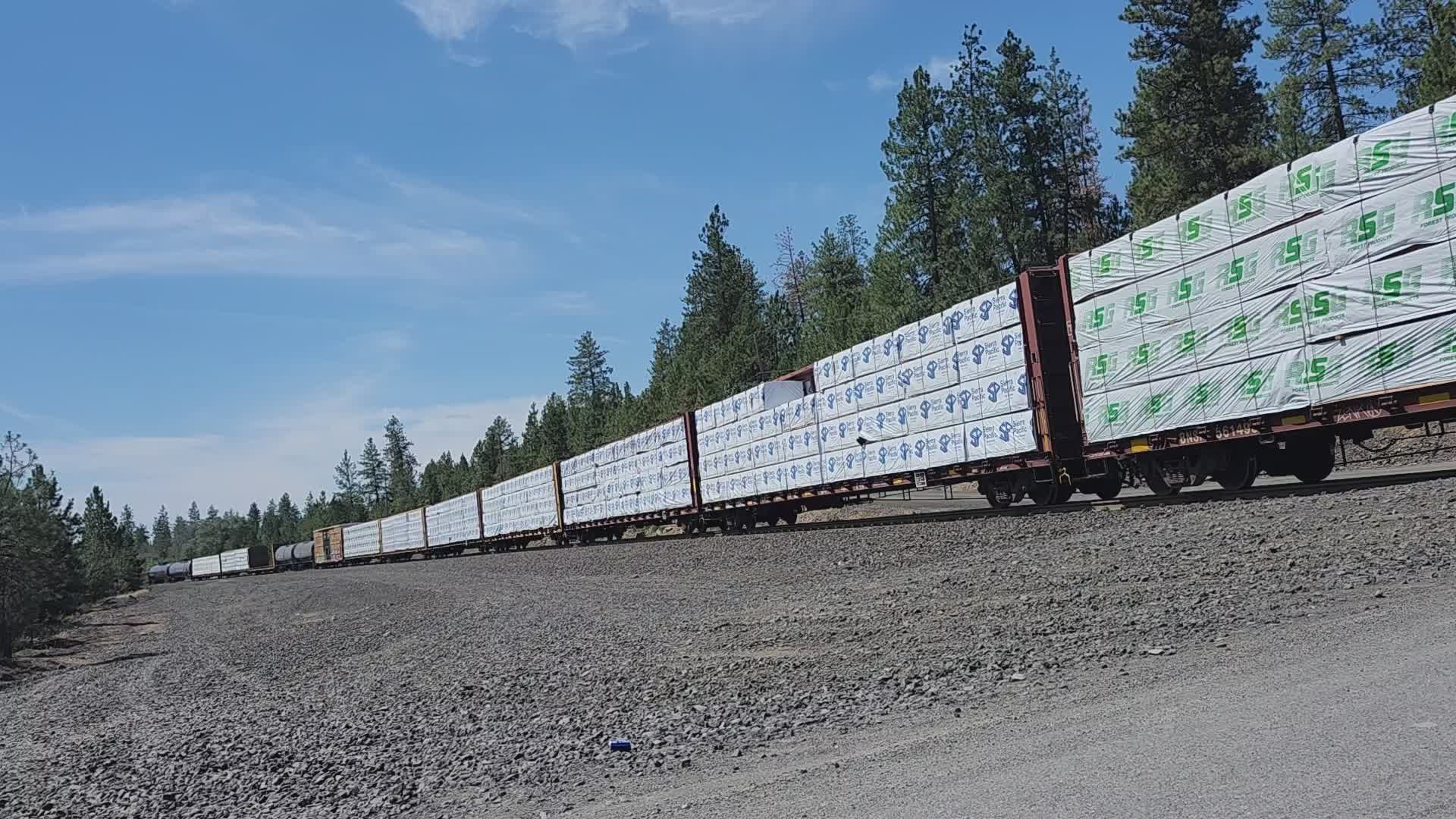 Freight Train Moving Through Scenic Forest Free Stock Video Footage ...