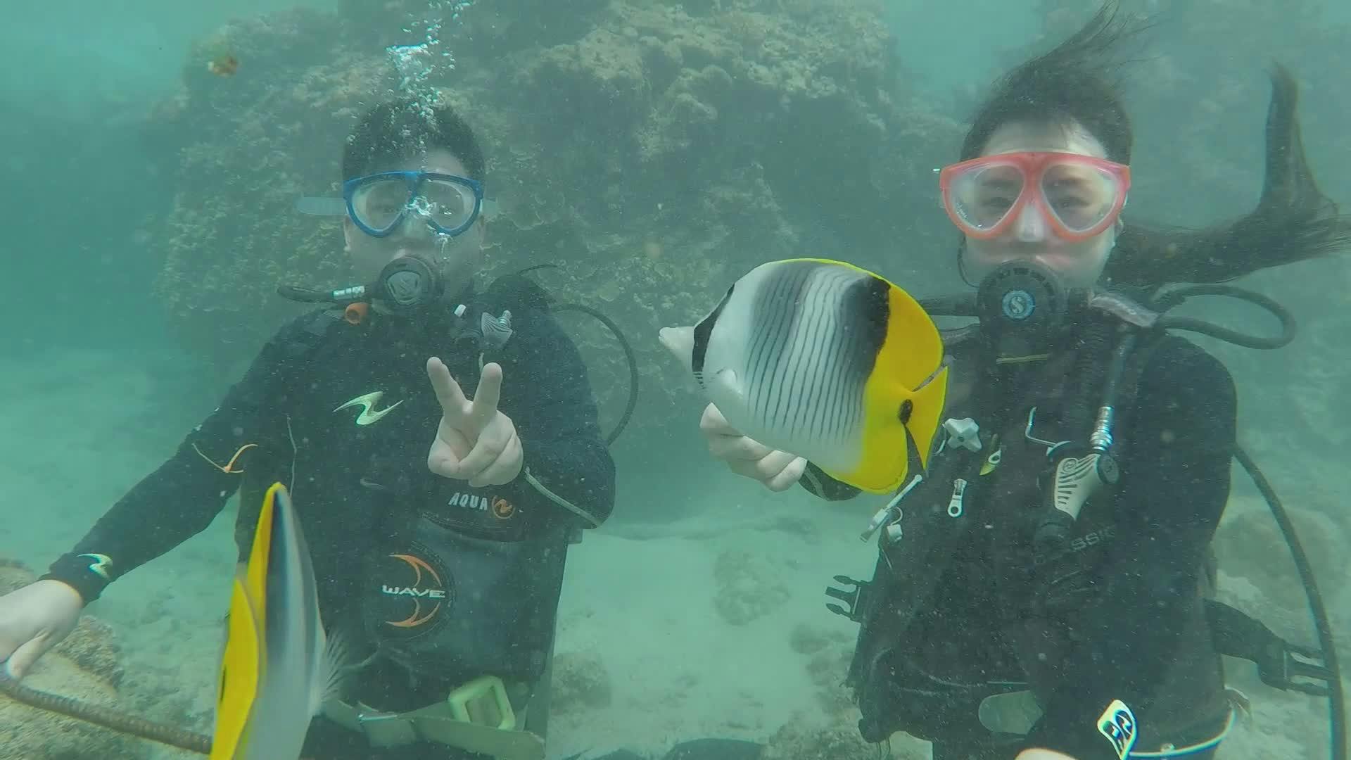 Acuario, Jardín De Coral, Descubrir, Bucear, Naturaleza, Aventura ...