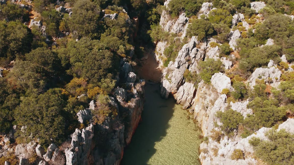 Veronica+Silesto+And+Her+Dog+In+A+Beastly+Video Videos, Download The ...