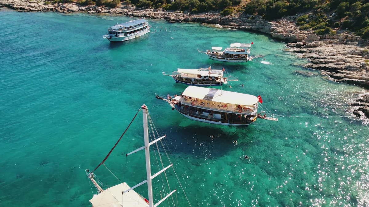 Frolic+Me+Full+Video Videos, Download The BEST Free 4k Stock Video ...