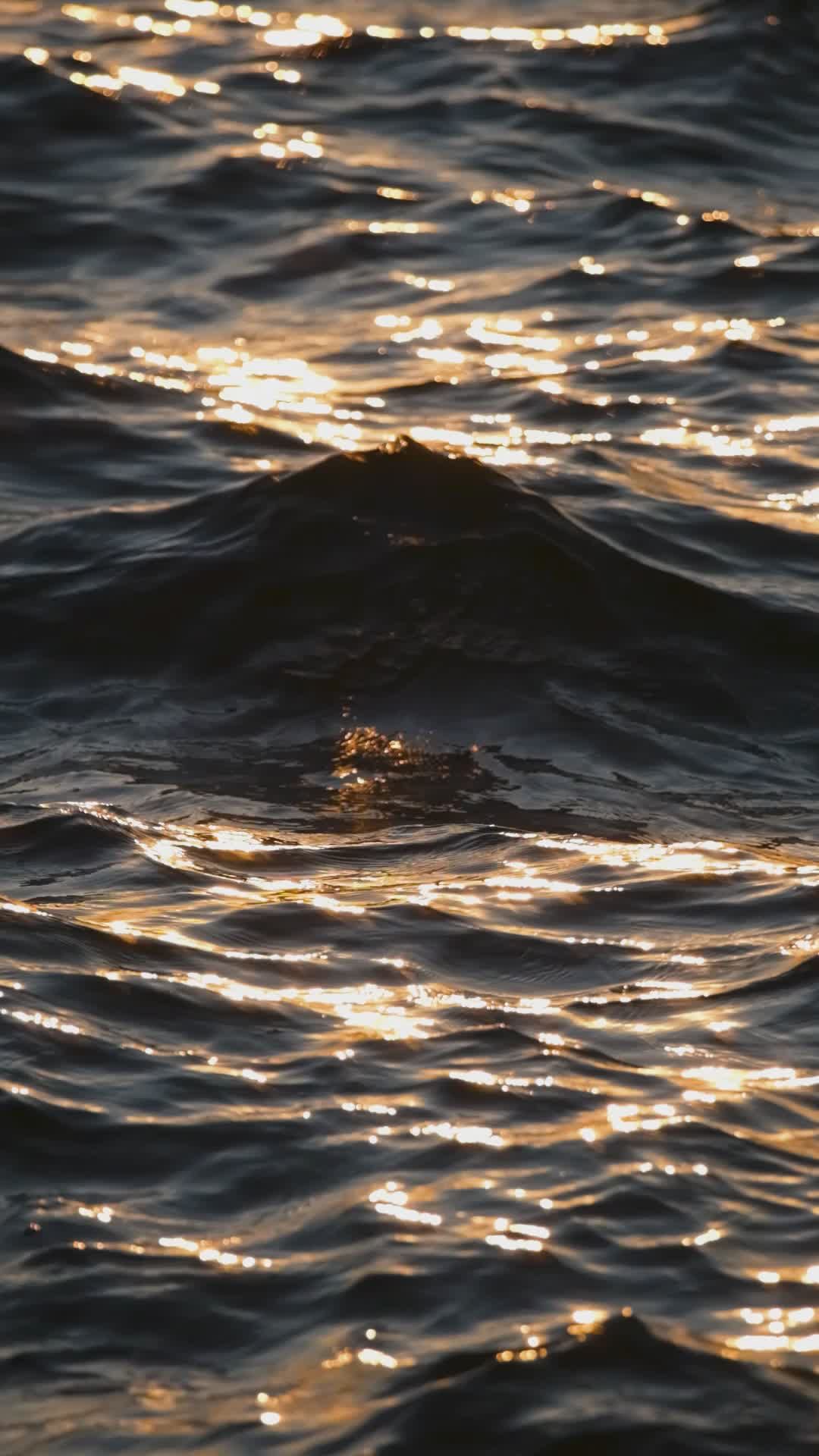 Golden Hour Waves at Sea - Cinematic Footage Free Stock Video Footage ...