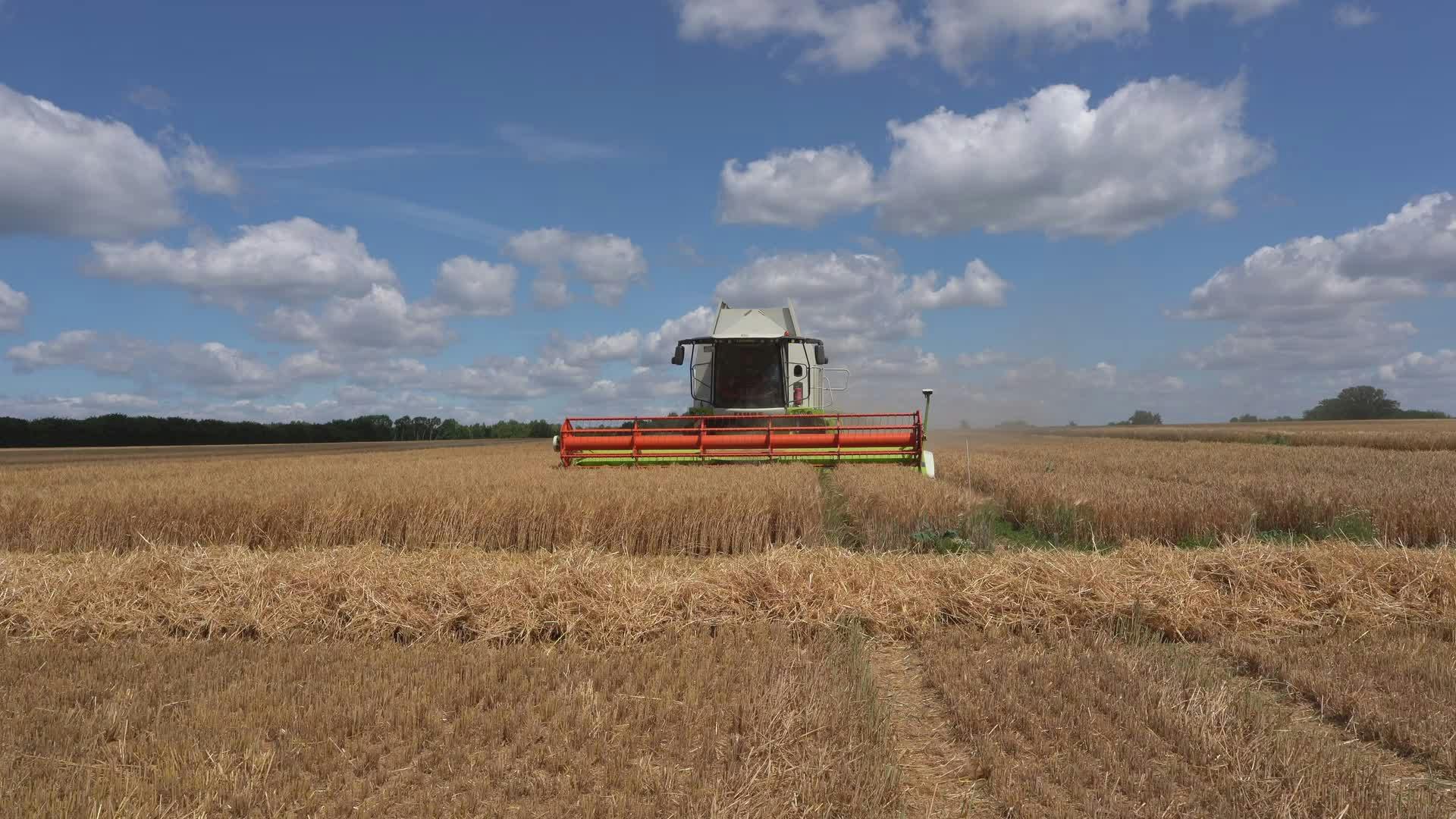 Destroyed Crops Videos, Download The BEST Free 4k Stock Video Footage ...