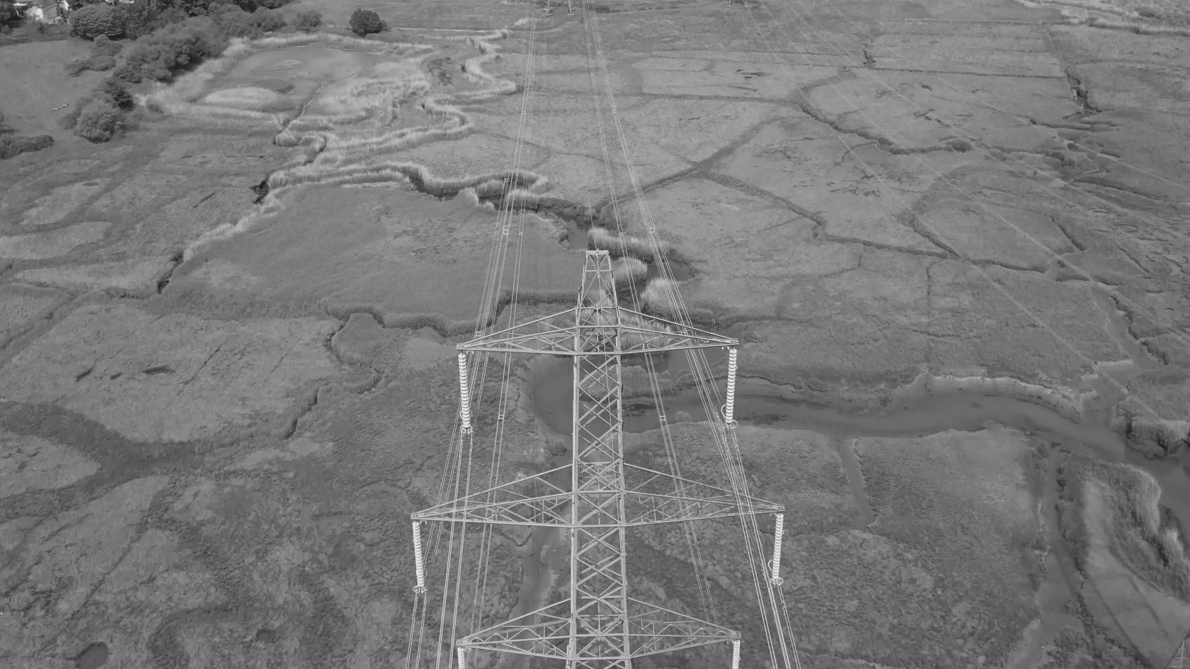 Pathogens Transmission Videos, Download The BEST Free 4k Stock Video ...