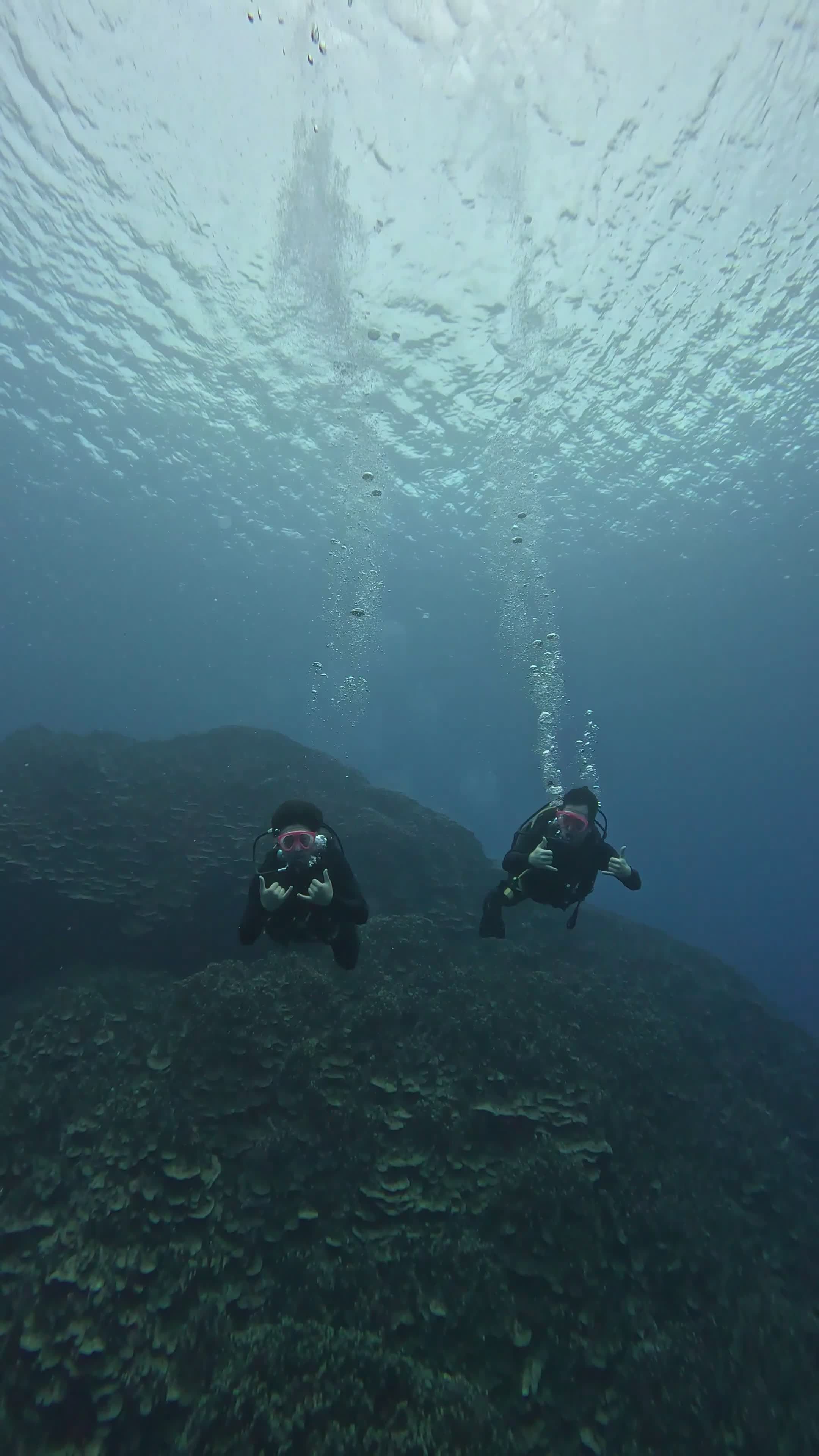 Free Diving Videos, Download The BEST Free 4k Stock Video Footage ...