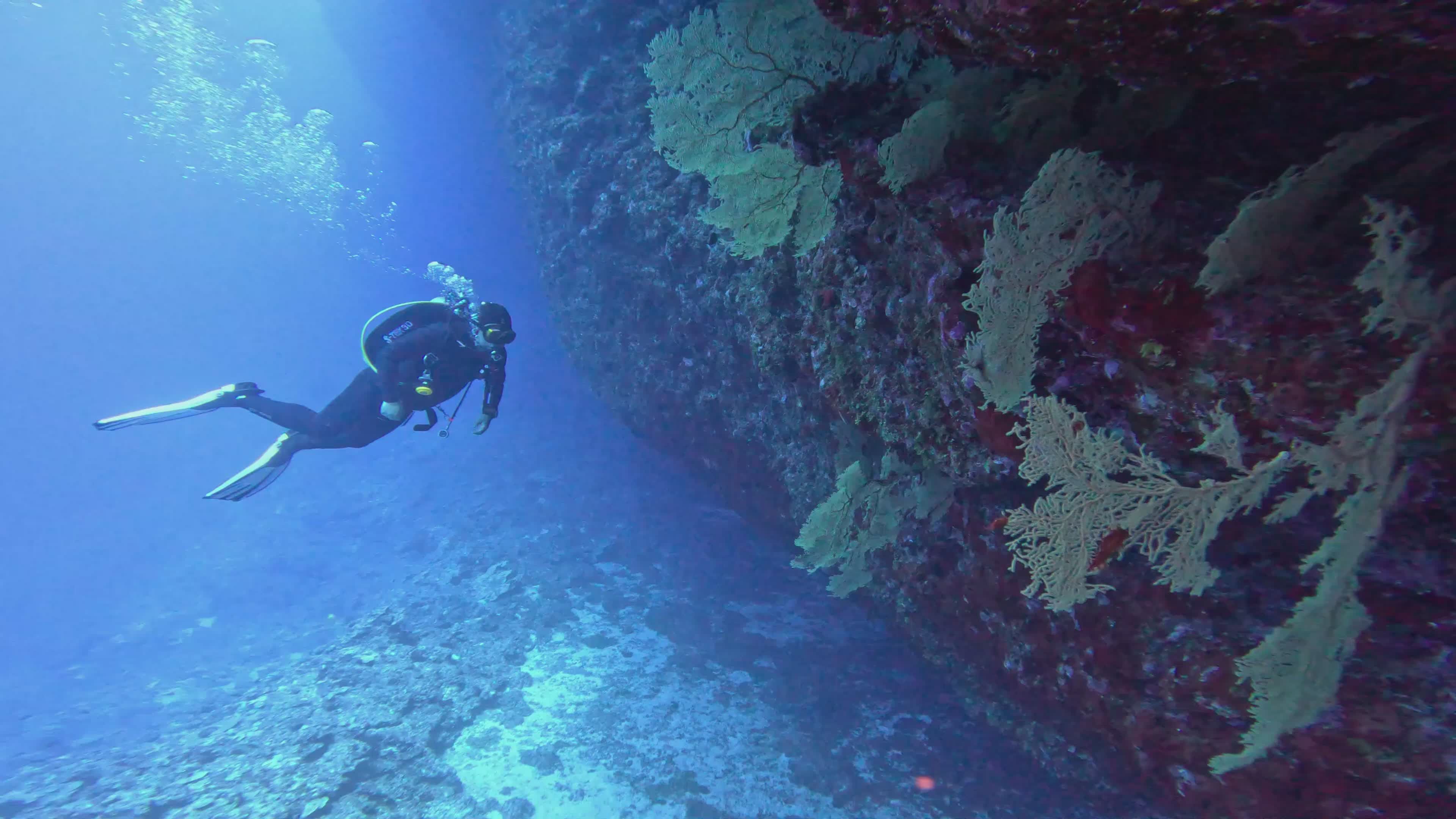Sea Depths Videos, Download The BEST Free 4k Stock Video Footage & Sea ...