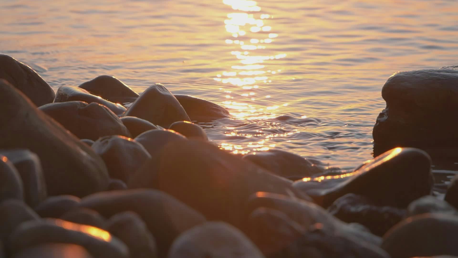 Detail Buah Videos, Download The BEST Free 4k Stock Video Footage ...