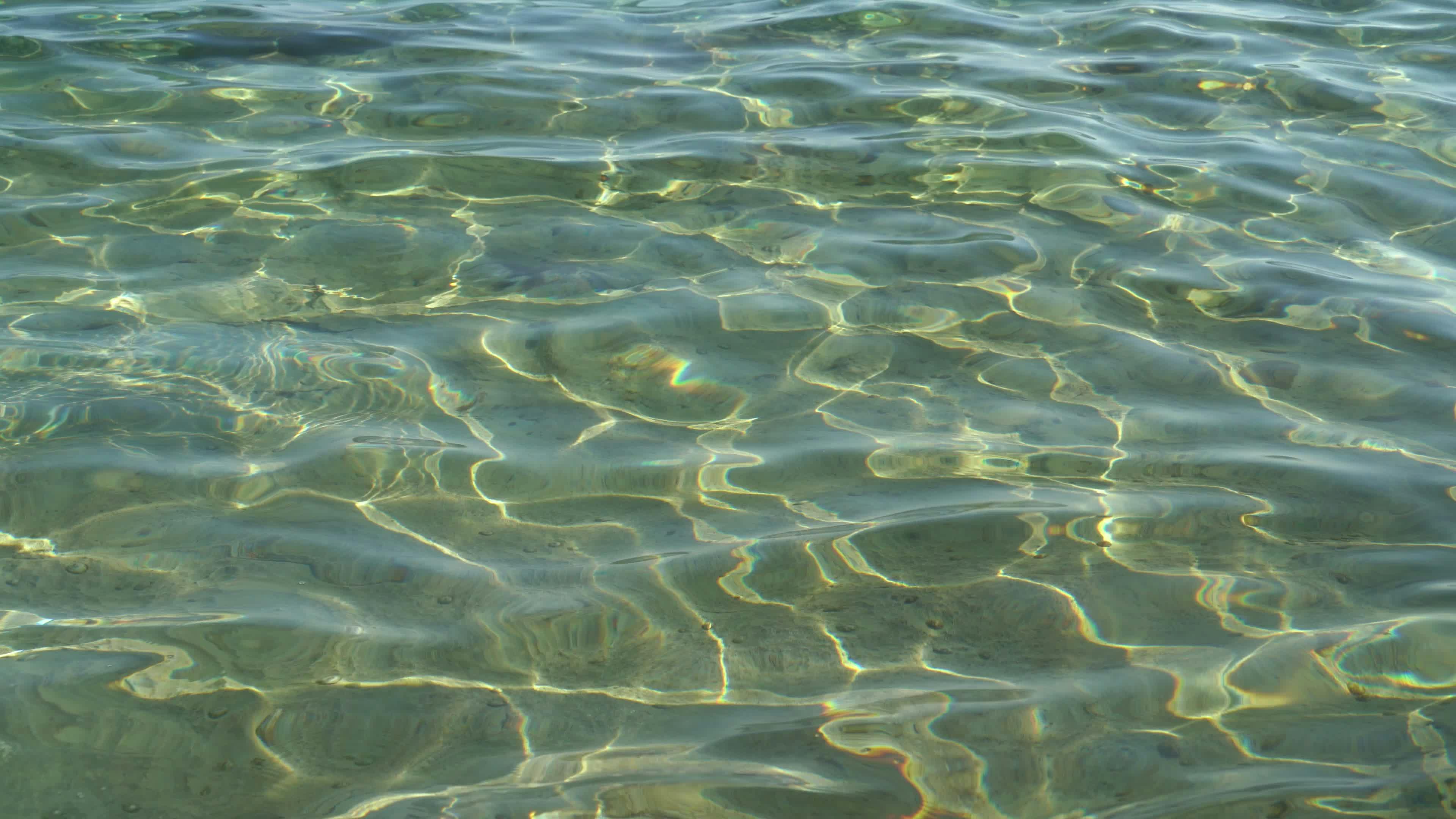 Water Ripples Videos, Download The BEST Free 4k Stock Video Footage ...