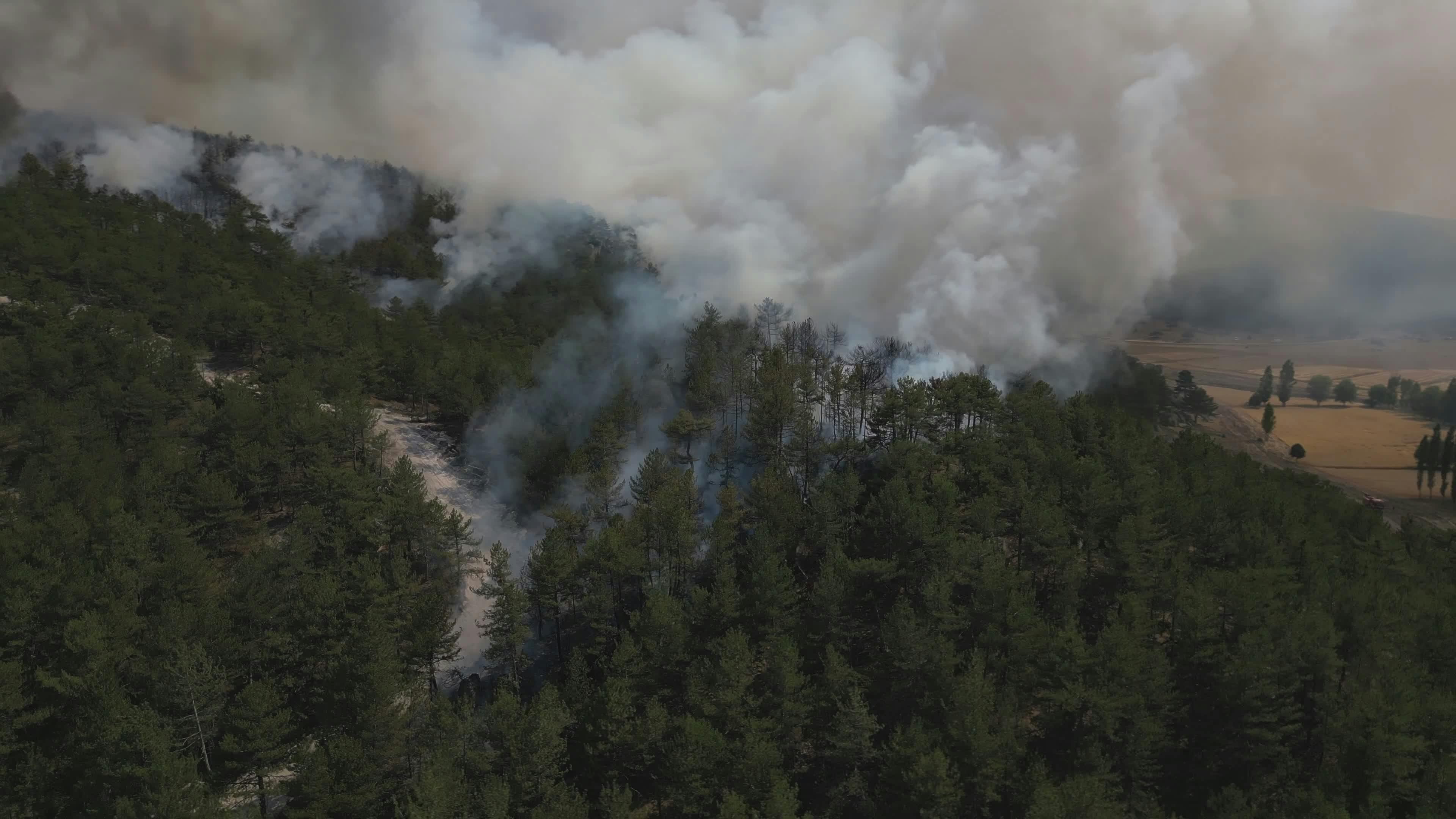 Disaster Rescue Videos, Download The BEST Free 4k Stock Video Footage ...