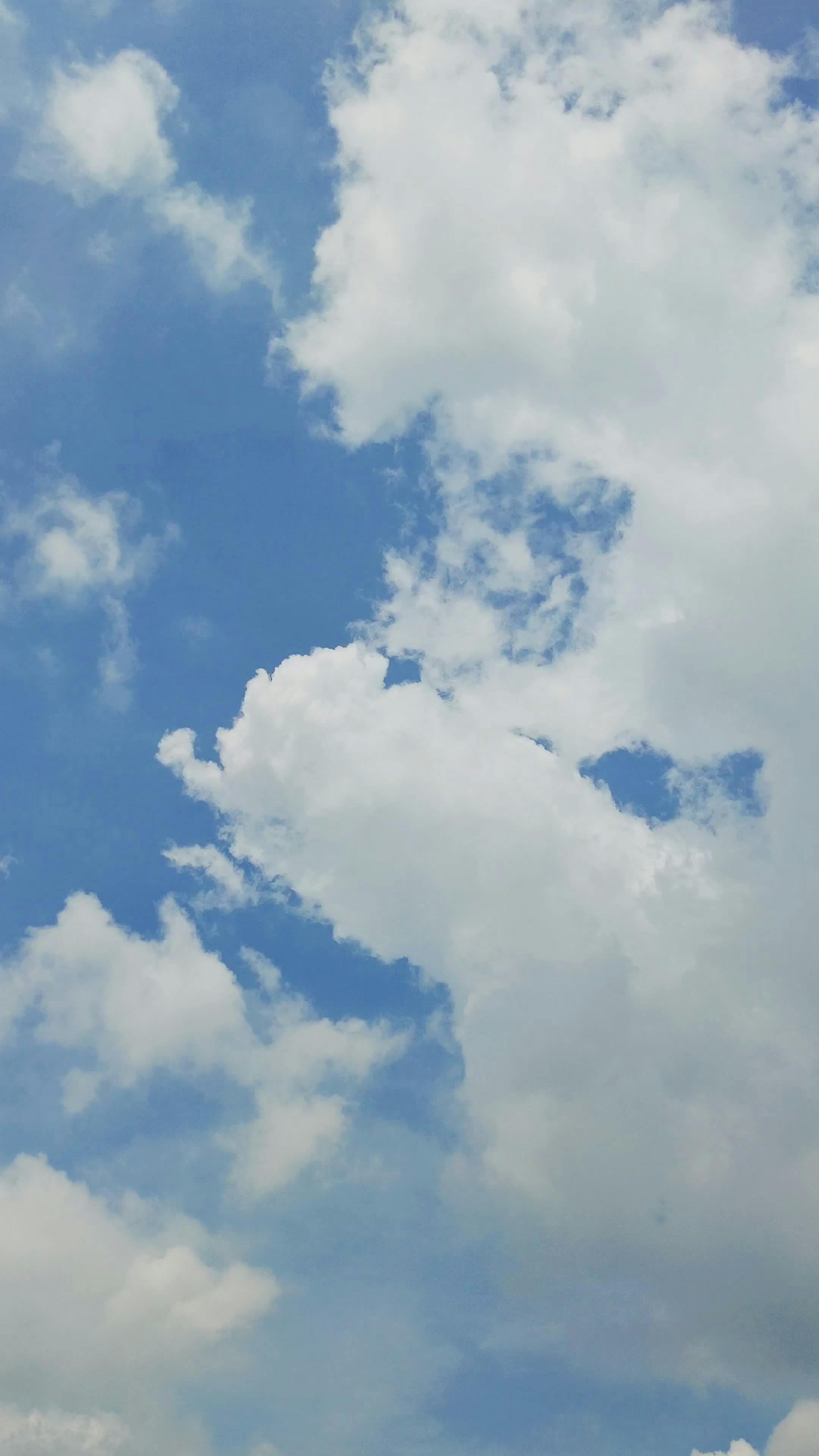 Pure Wortel Videos, Download The BEST Free 4k Stock Video Footage ...