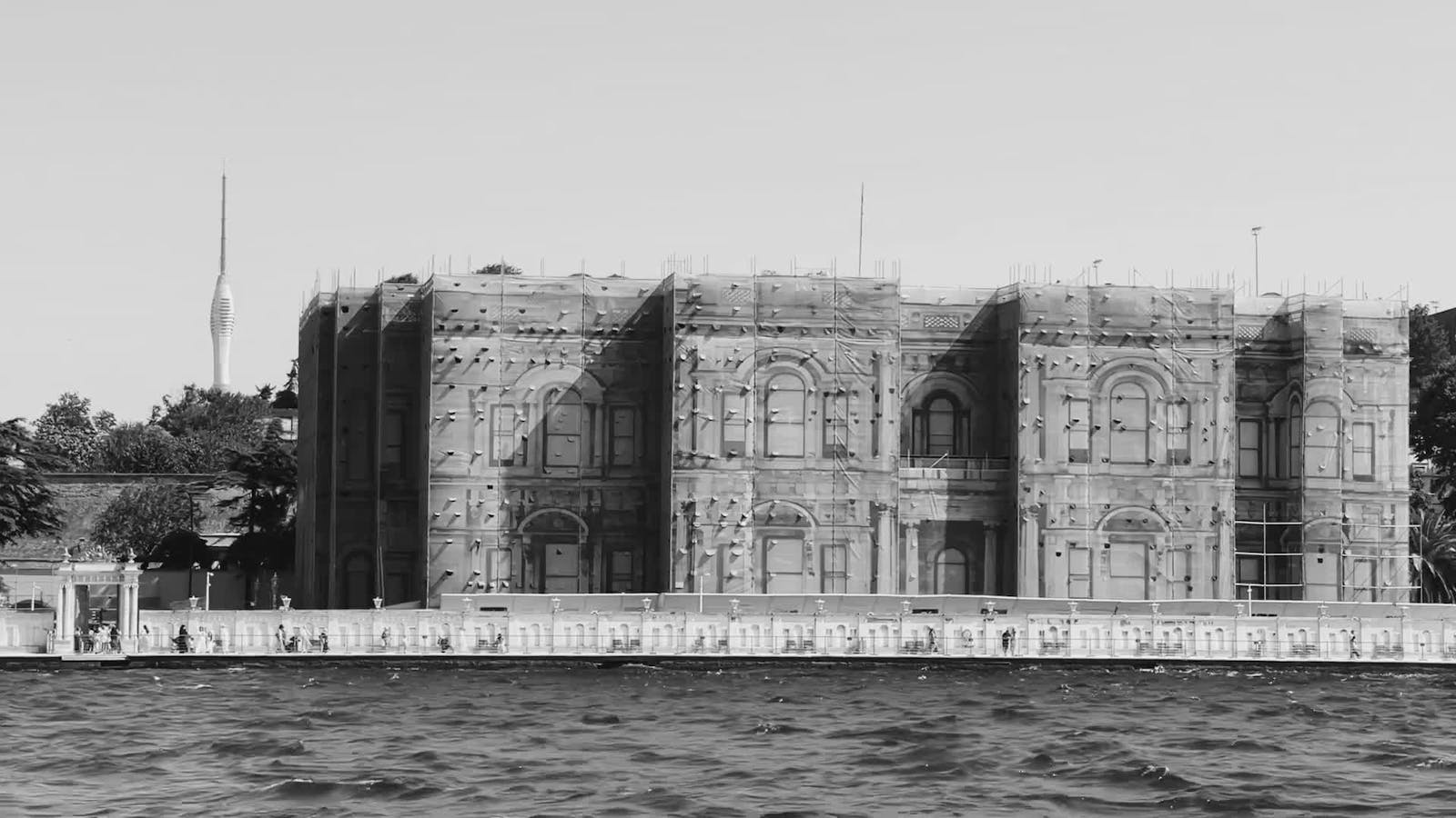 101+Boys+Gay+Video Videos, Download The BEST Free 4k Stock Video ...