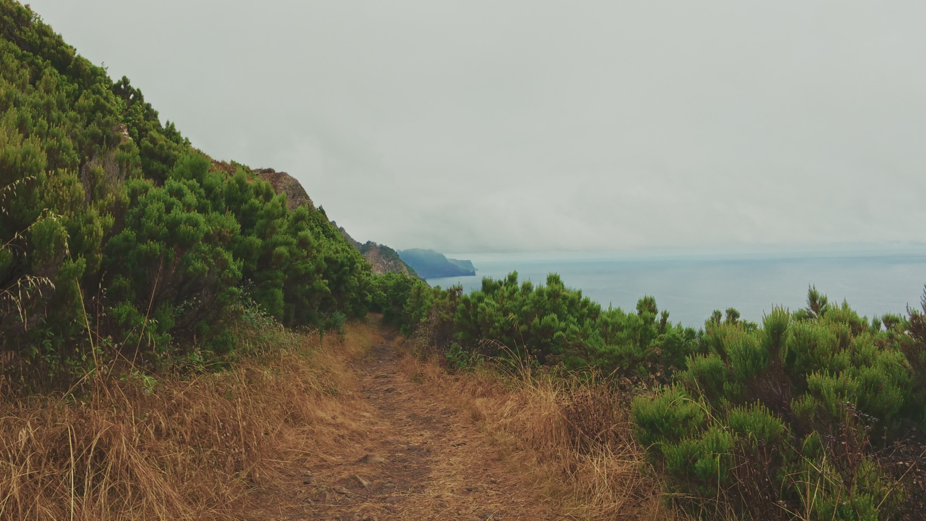 Scenic Cliffside Pathway with Ocean View Free Stock Video Footage ...