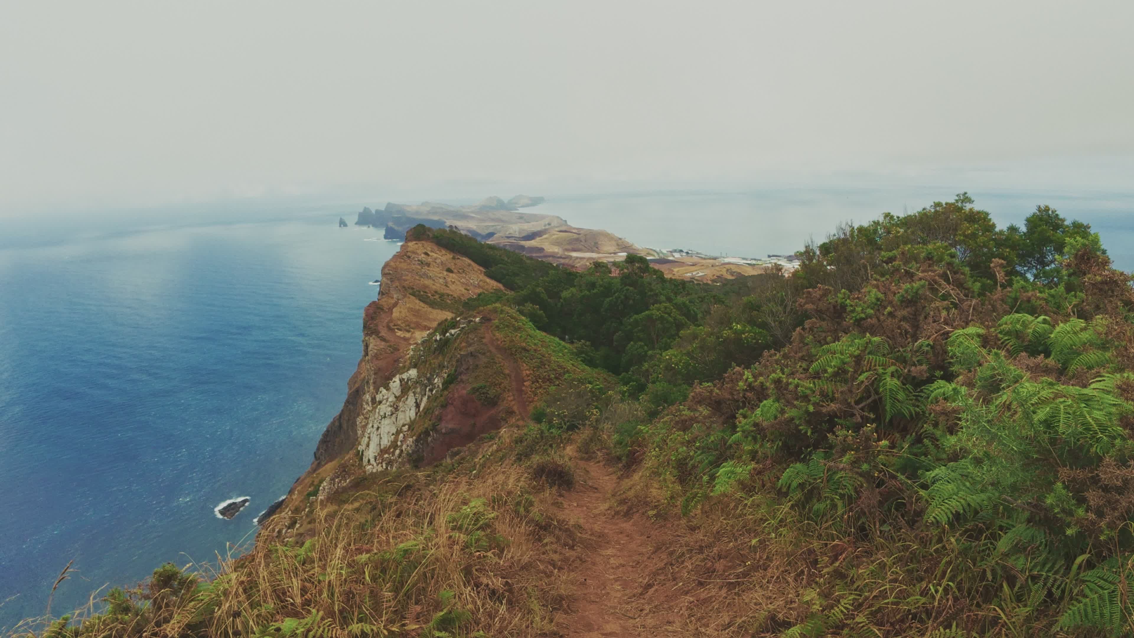 Scenic Cliffside Pathway in Madeira Free Stock Video Footage, Royalty ...