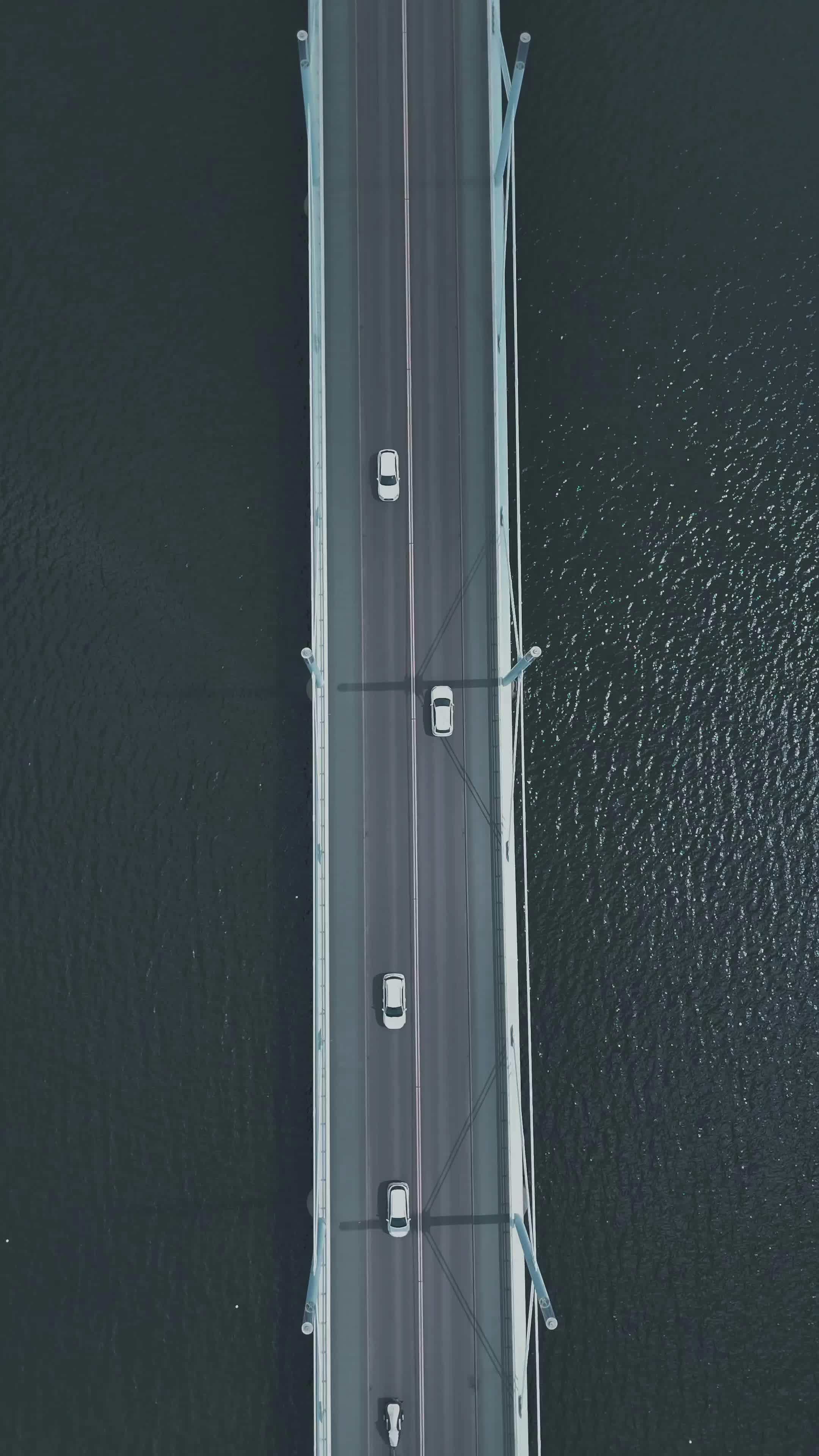 Long Vertical Videos, Download The BEST Free 4k Stock Video Footage ...