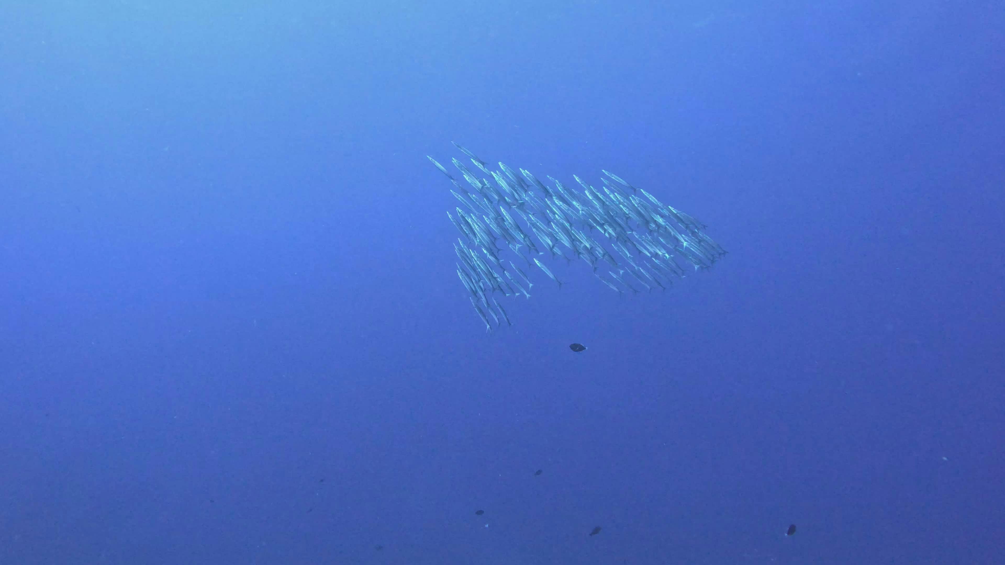 Fishing Rode Videos, Download The BEST Free 4k Stock Video Footage ...