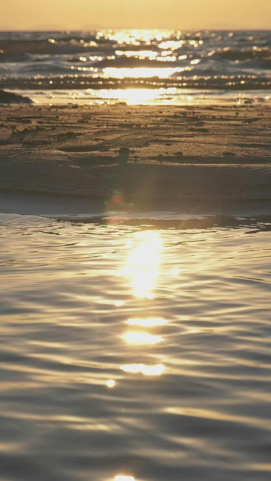 Vertical Closeup Videos, Download The BEST Free 4k Stock Video Footage ...