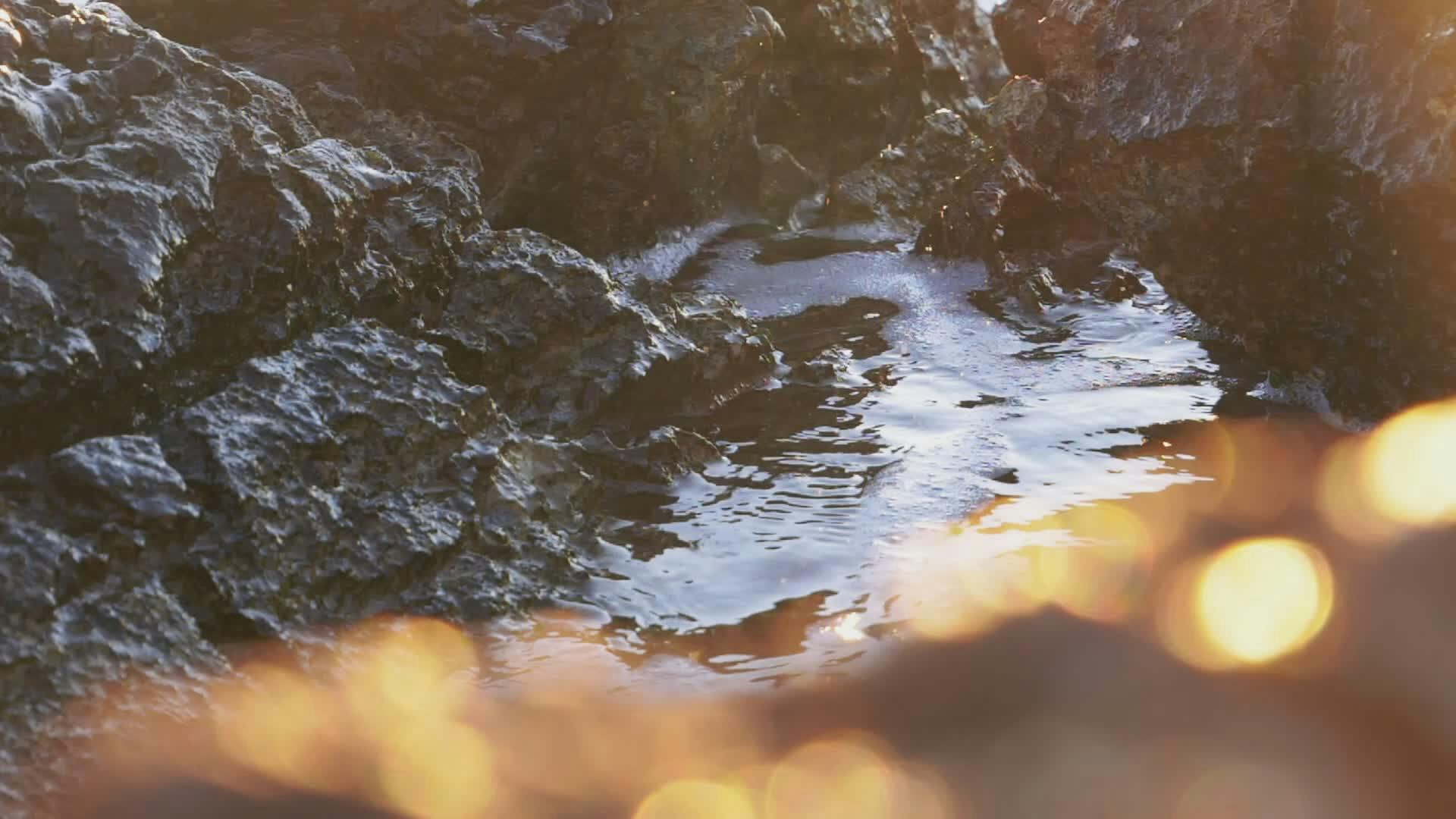 Bokeh Jepang Cantik Videos, Download The BEST Free 4k Stock Video Footage & Bokeh Jepang Cantik ...