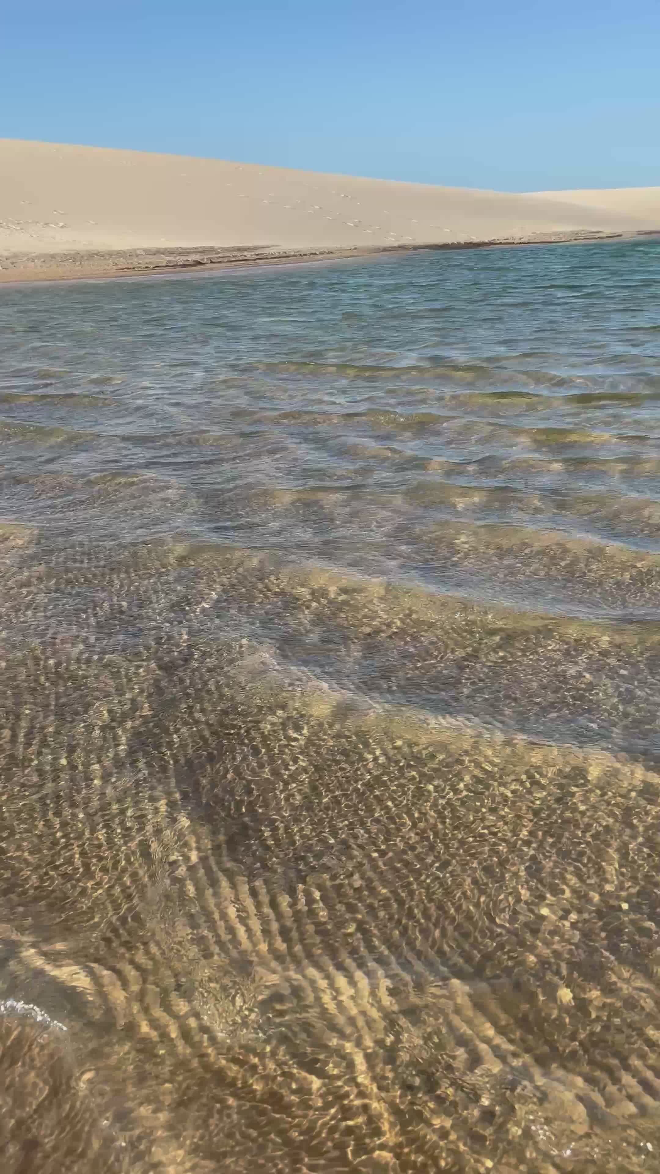 Serene Coastal Ripples on a Sandy Beach Free Stock Video Footage ...