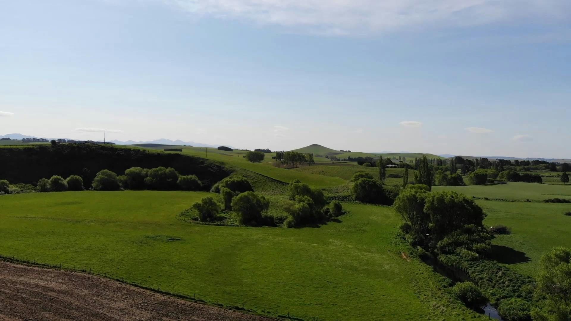 Old Video Of A Couple Walking In The Field Free Stock Video Footage ...