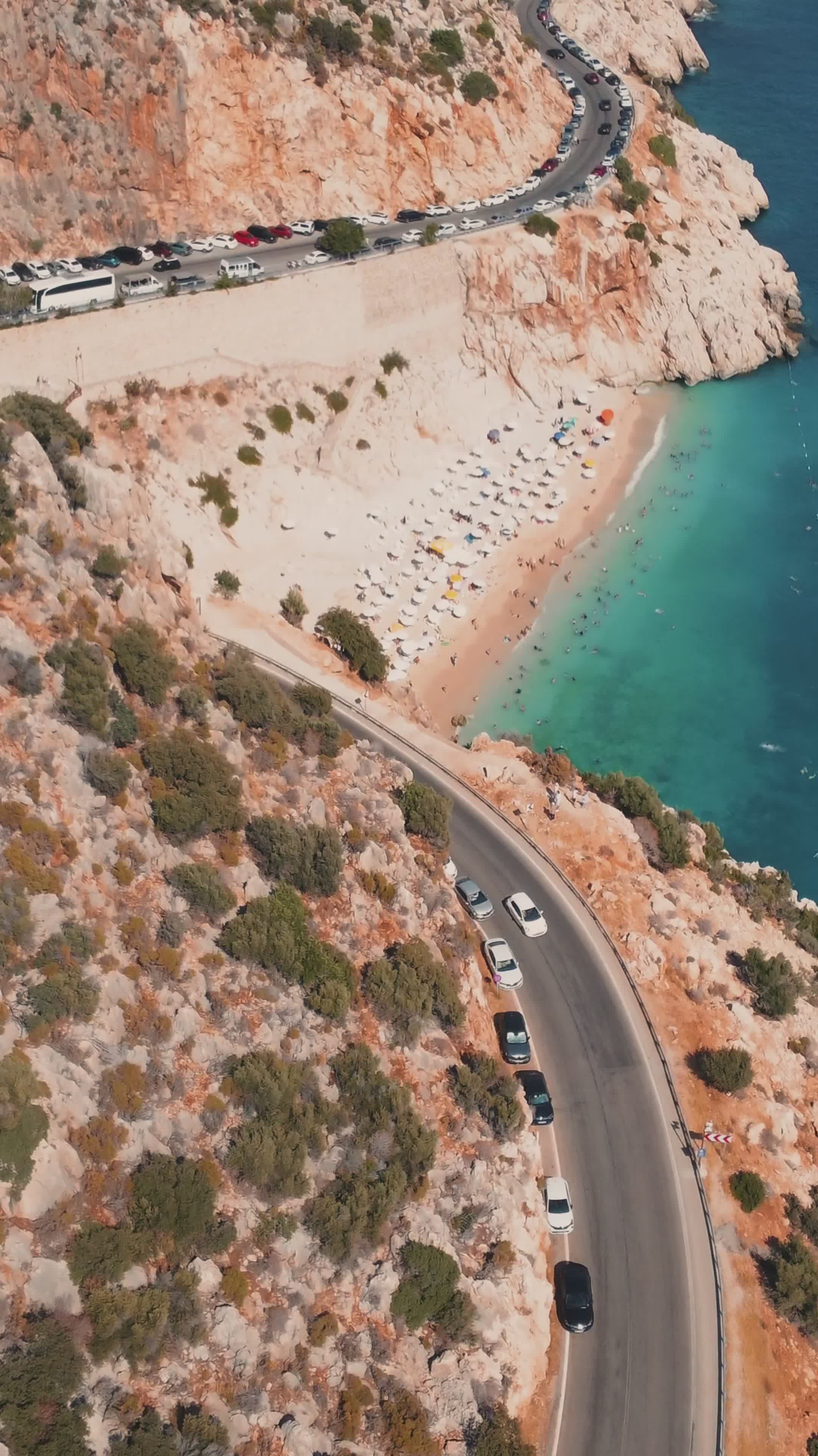 Swiming In The Sea Videos, Download The BEST Free 4k Stock Video ...