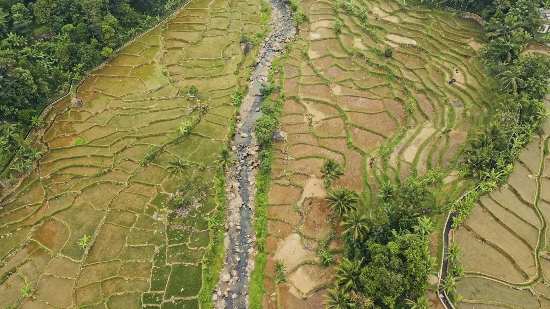 Mola Mola In Bali Videos, Download The BEST Free 4k Stock Video Footage ...