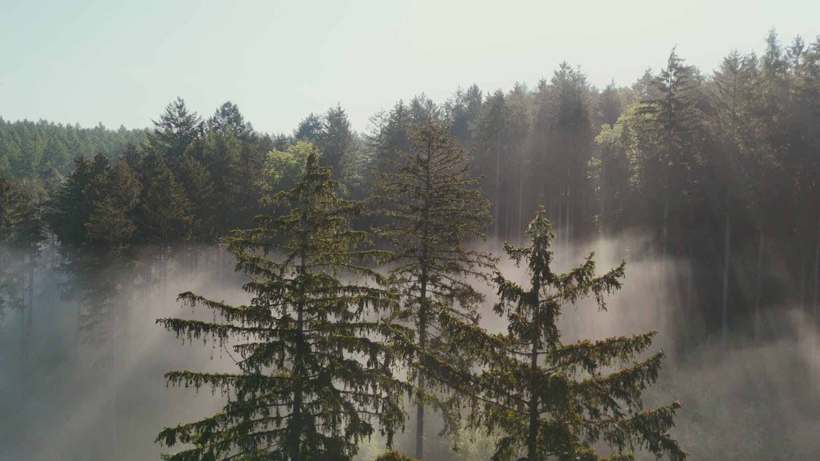 Calming Nature Videos, Download The BEST Free 4k Stock Video Footage ...