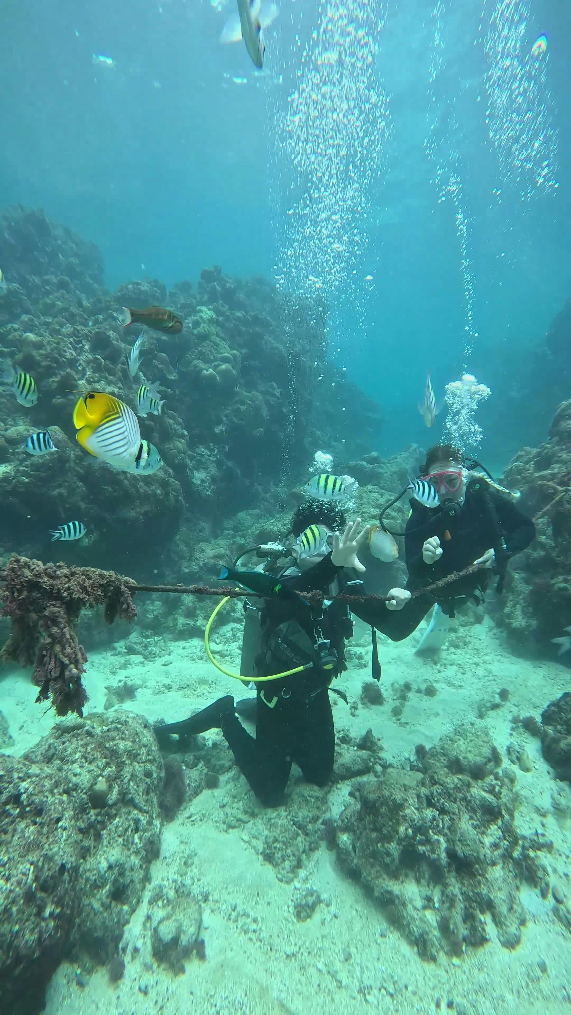 Treading+School Videos, Download The BEST Free 4k Stock Video Footage ...