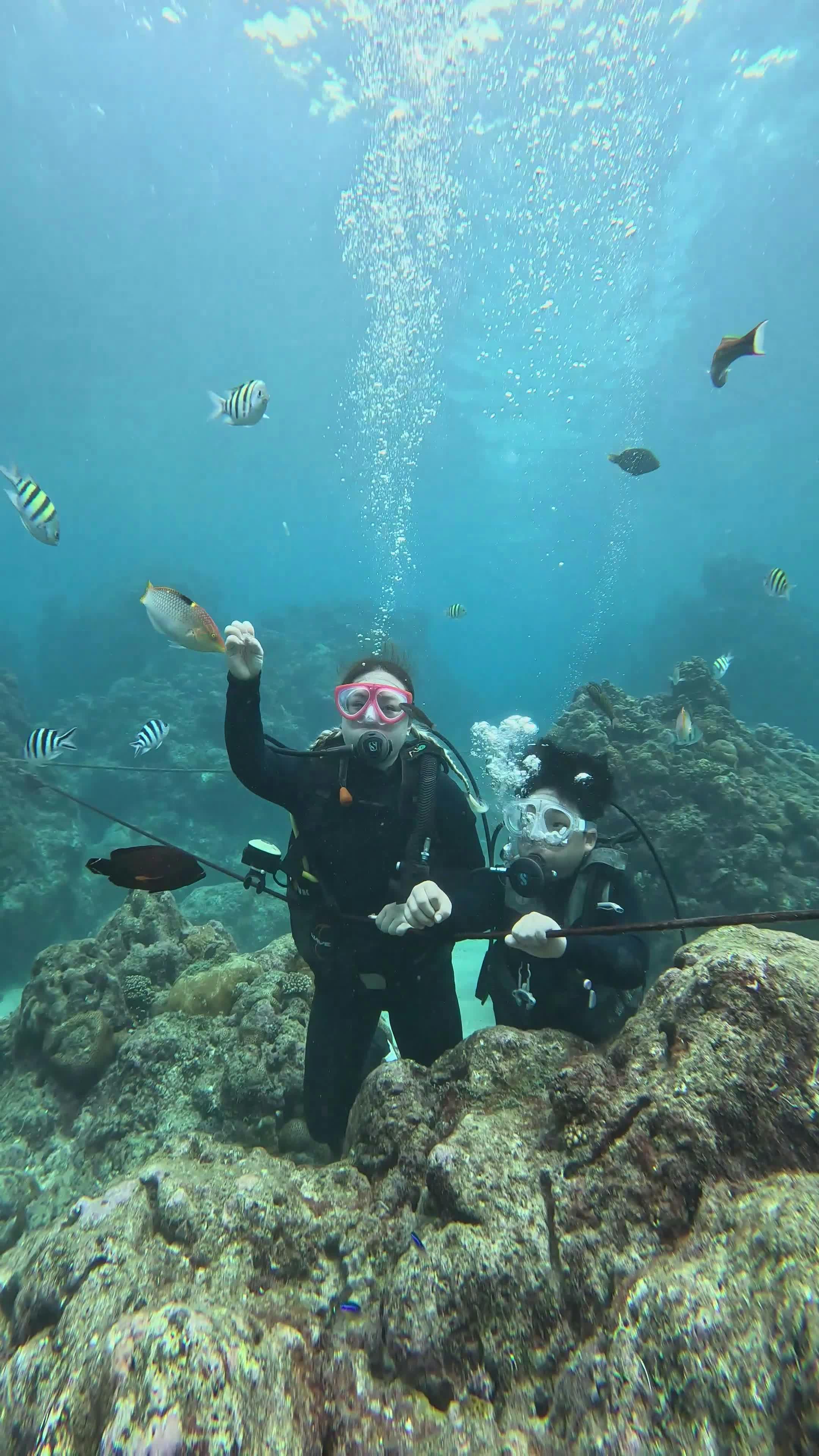 Ukdevilz+School Videos, Download The BEST Free 4k Stock Video Footage ...