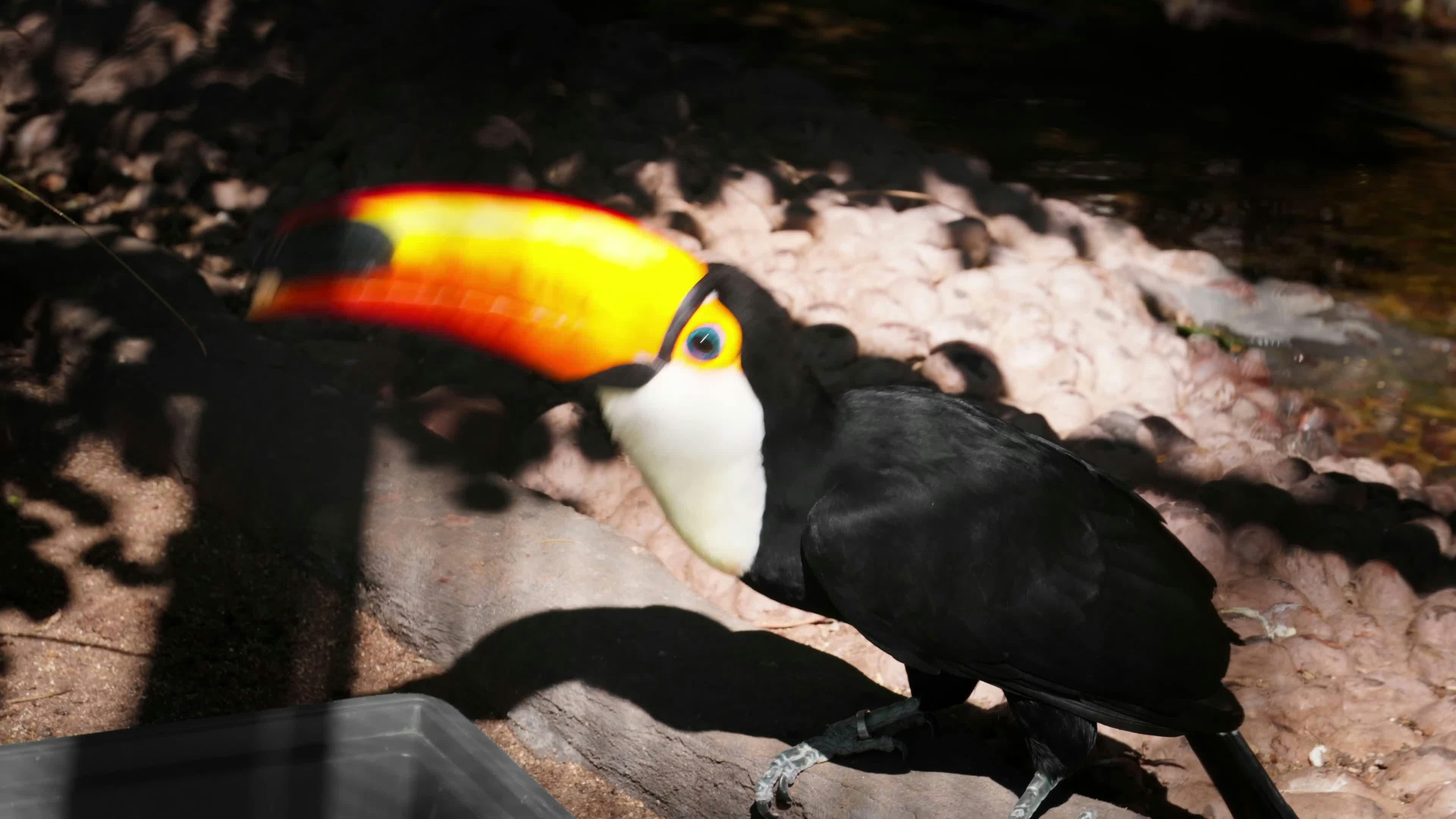 World Photographer Month 2025: Around The World Photo & Video Challenge ...