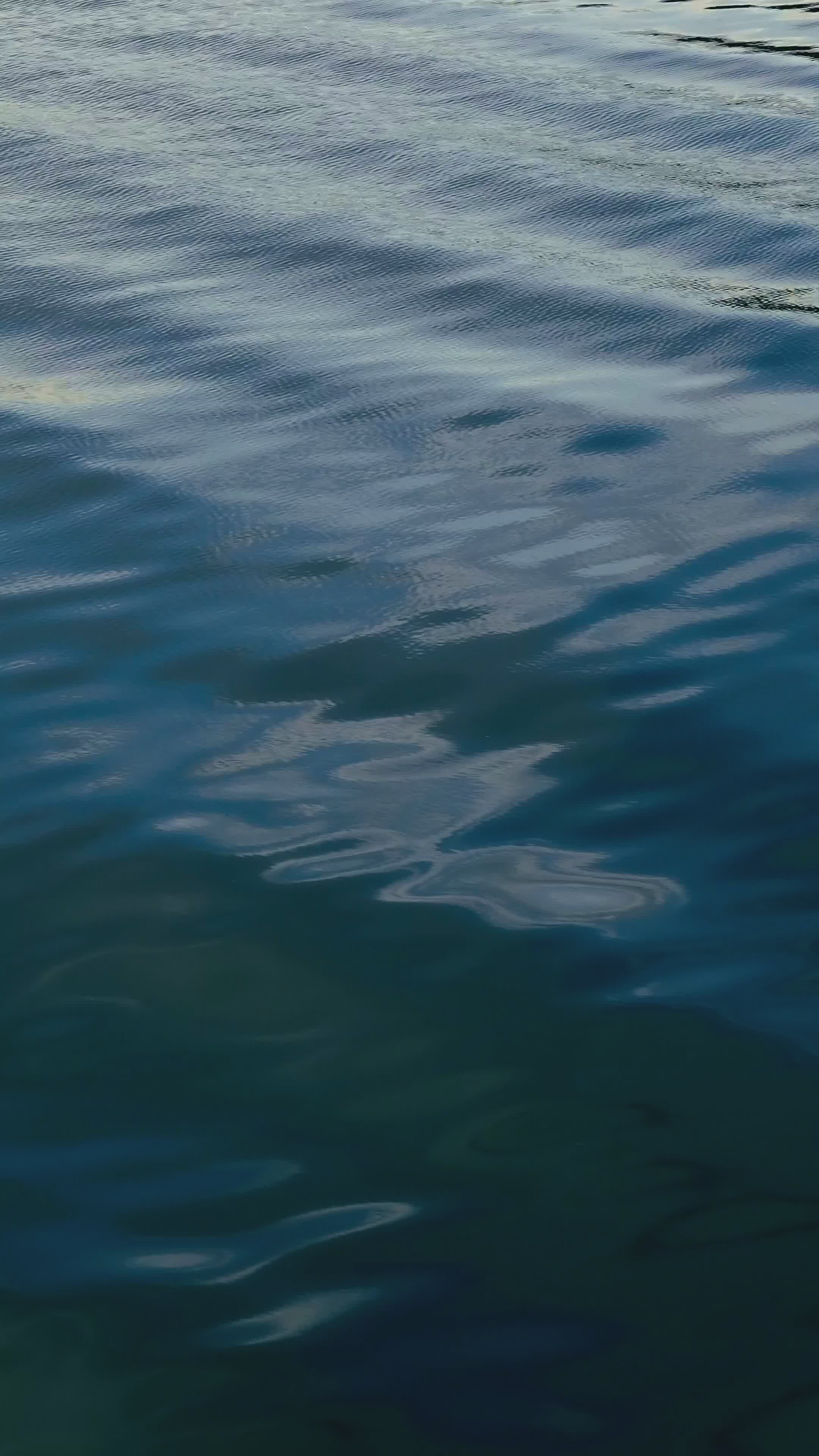Wave Motion Videos, Download The BEST Free 4k Stock Video Footage ...