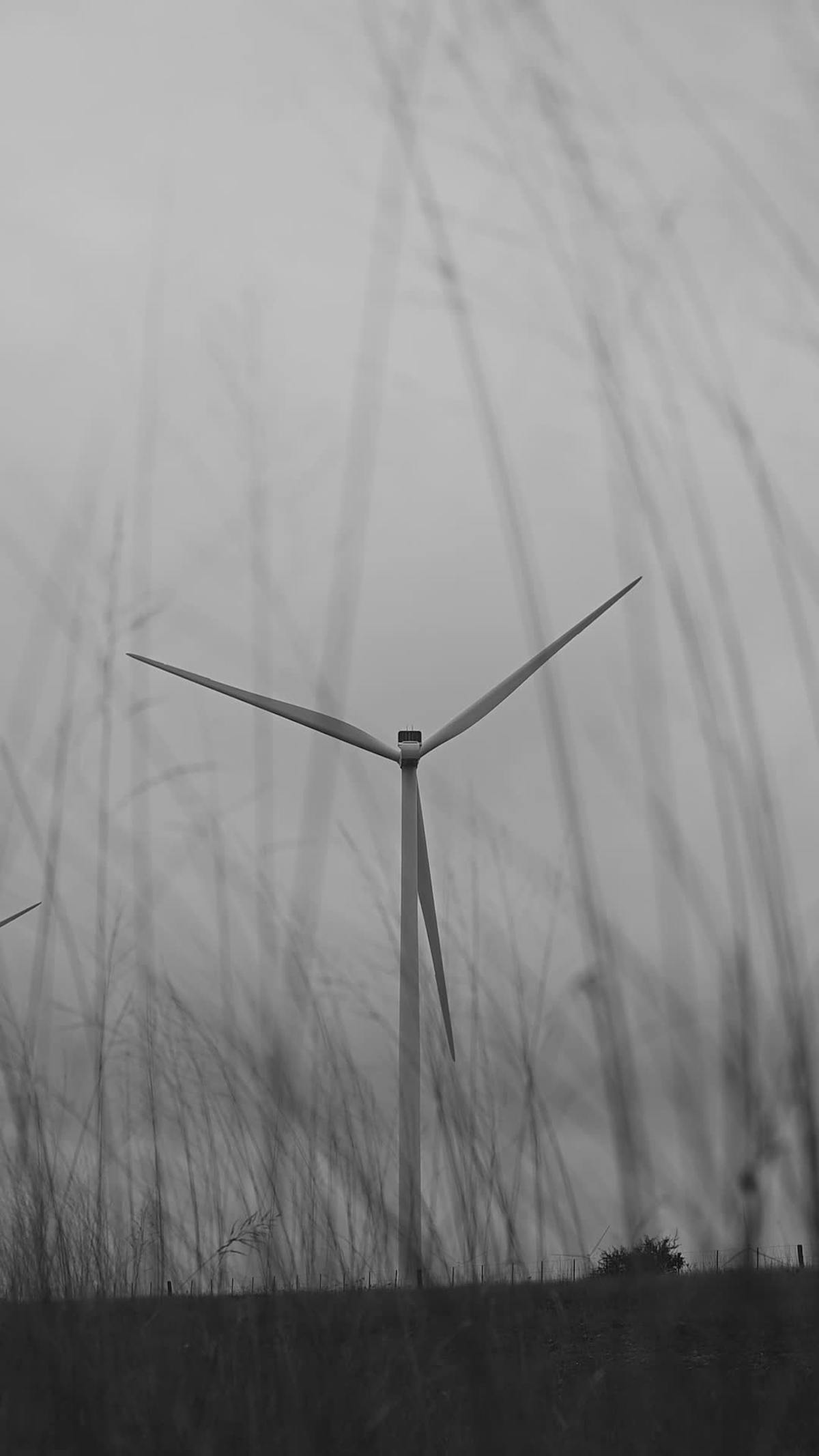 Big+Black+Man+Twerking Videos, Download The BEST Free 4k Stock Video Footage & Big+Black+Man ...