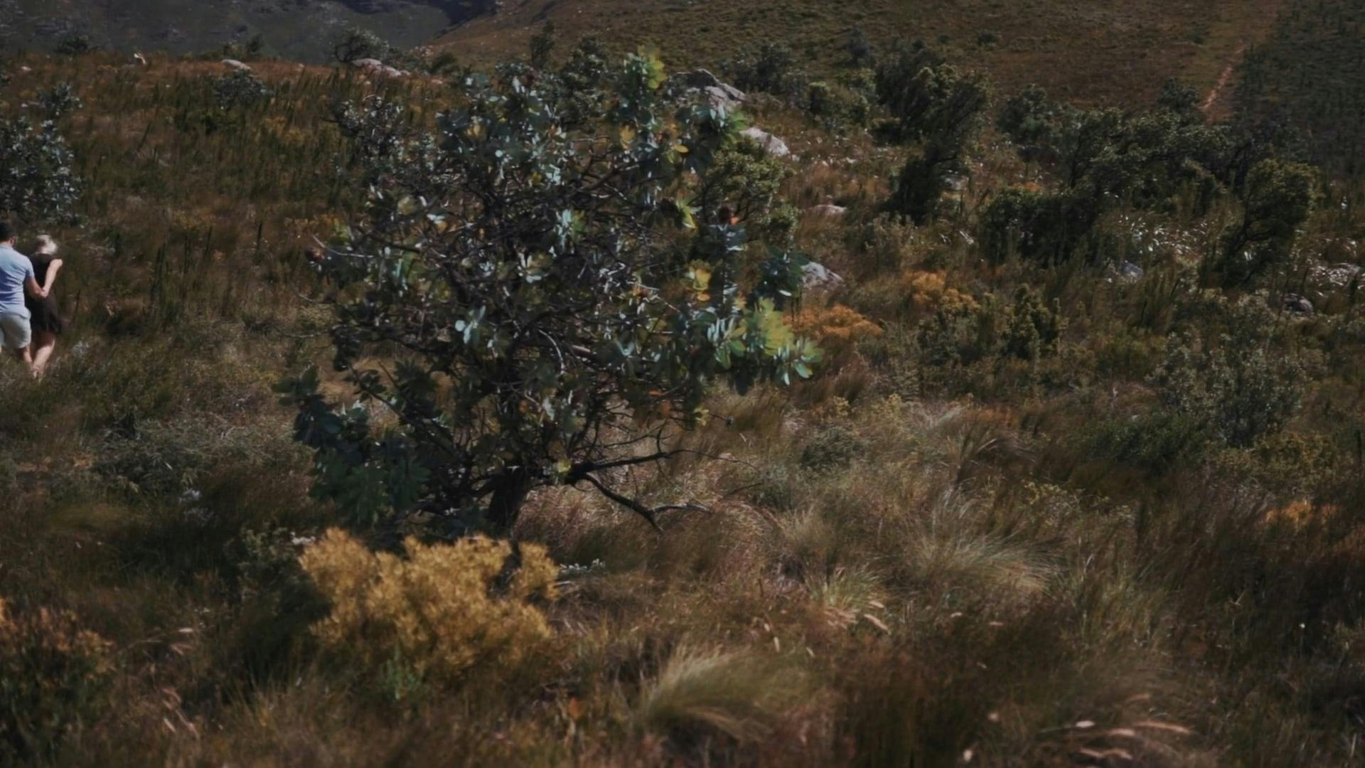 Short Hill Videos, Download The BEST Free 4k Stock Video Footage ...