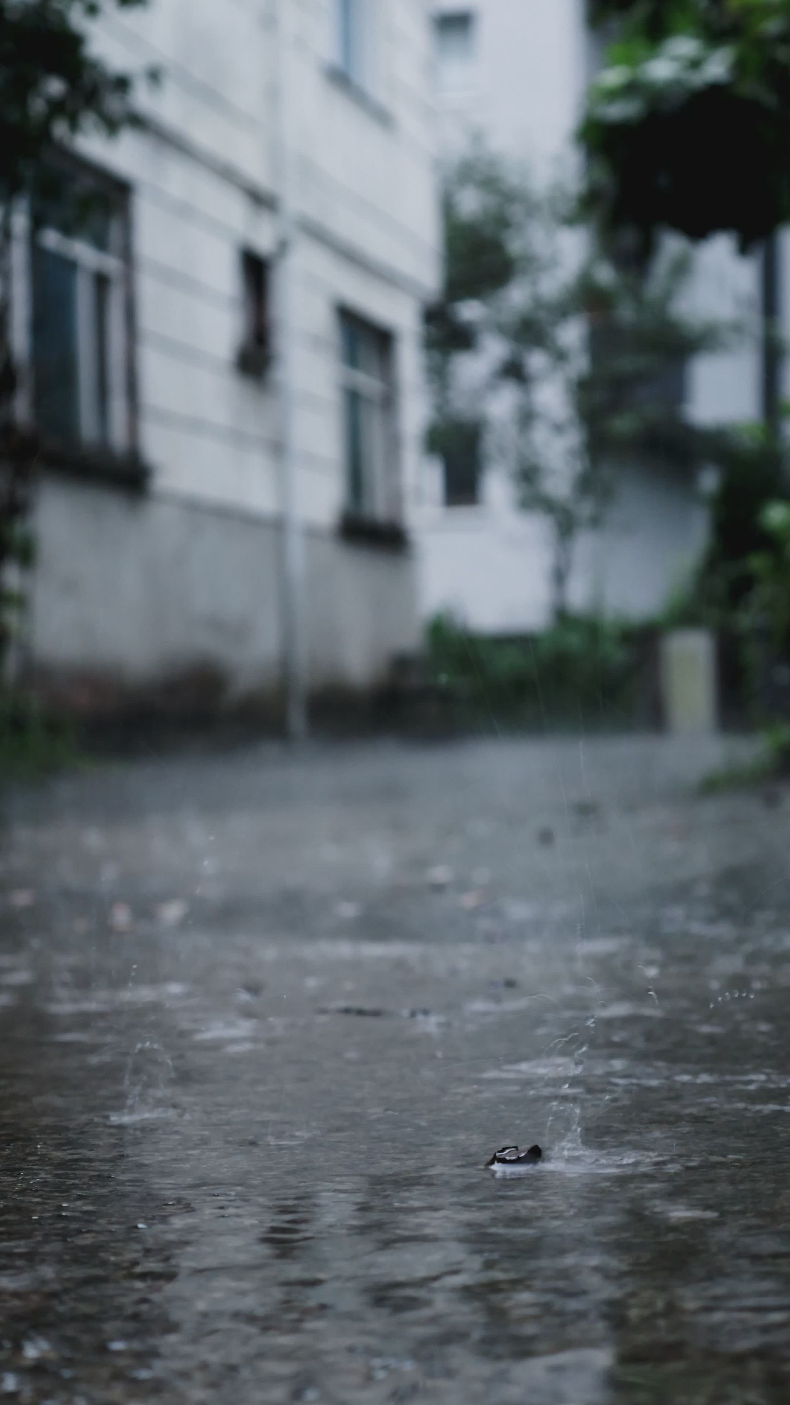 Rainy Day Videos, Download The BEST Free 4k Stock Video Footage & Rainy ...