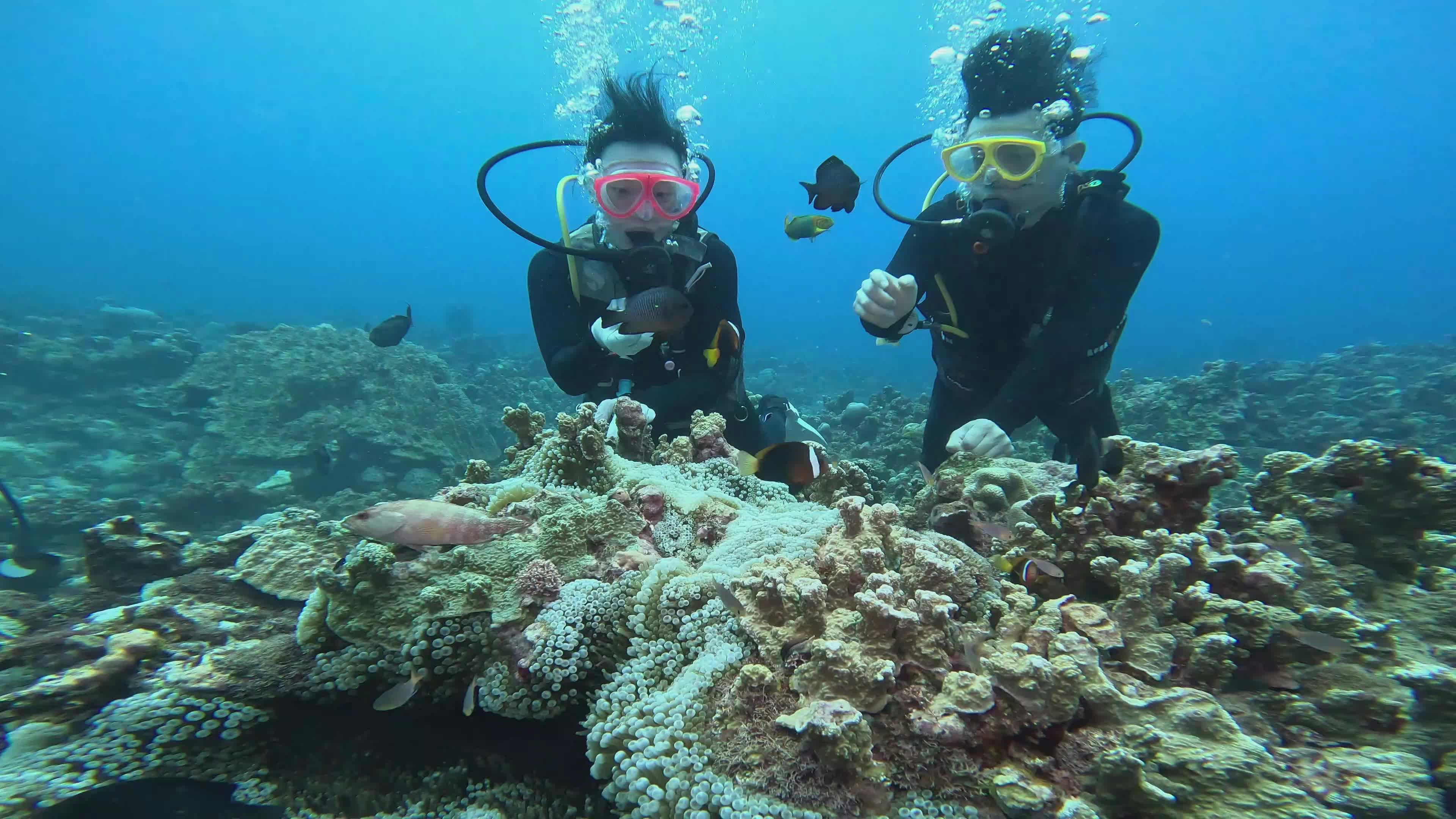 Plex Tanks Videos, Download The BEST Free 4k Stock Video Footage & Plex Tanks HD Video Clips