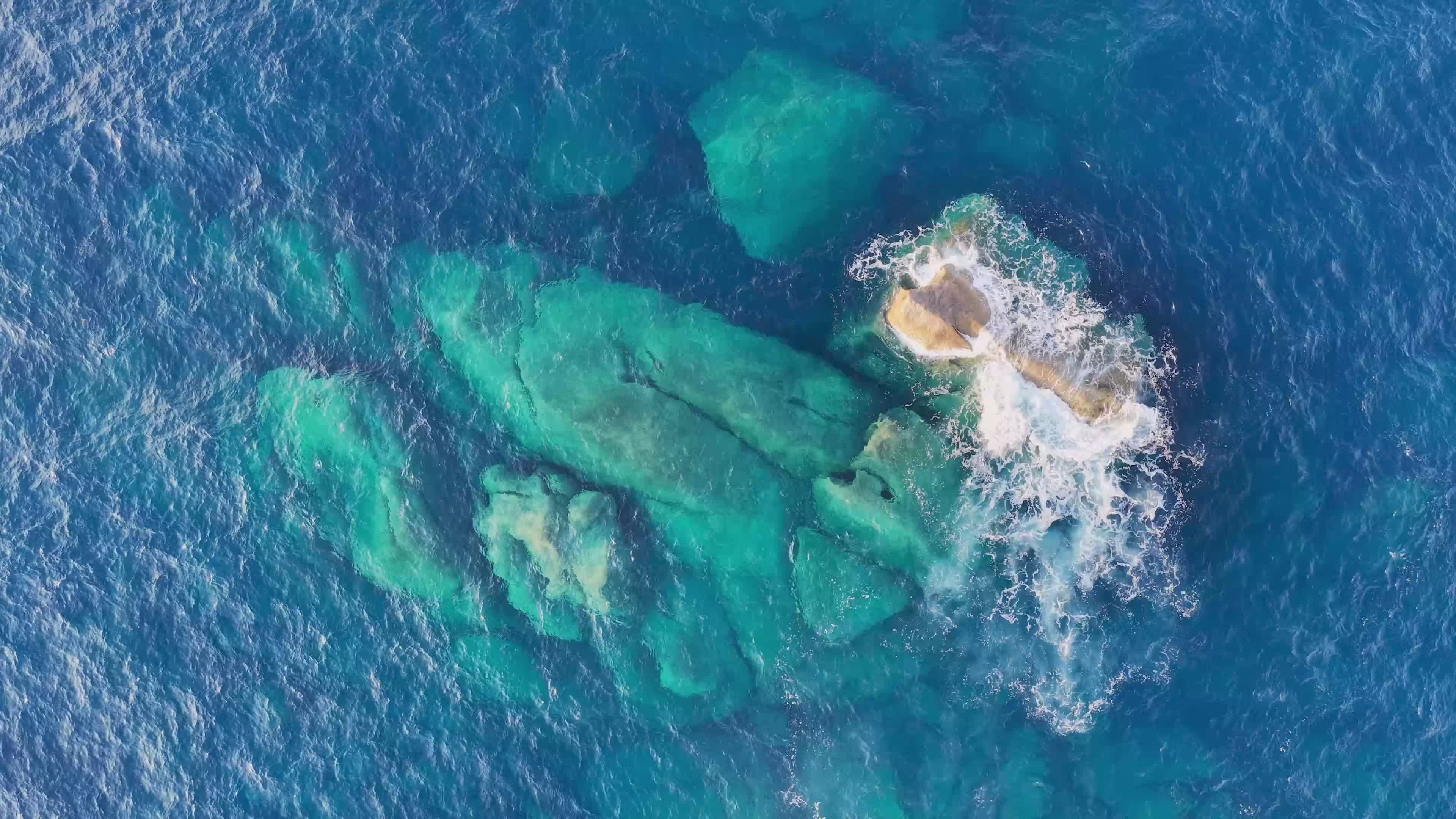 Coral Fang Videos Download The Best Free 4k Stock Video Footage And Coral Fang Hd Video Clips