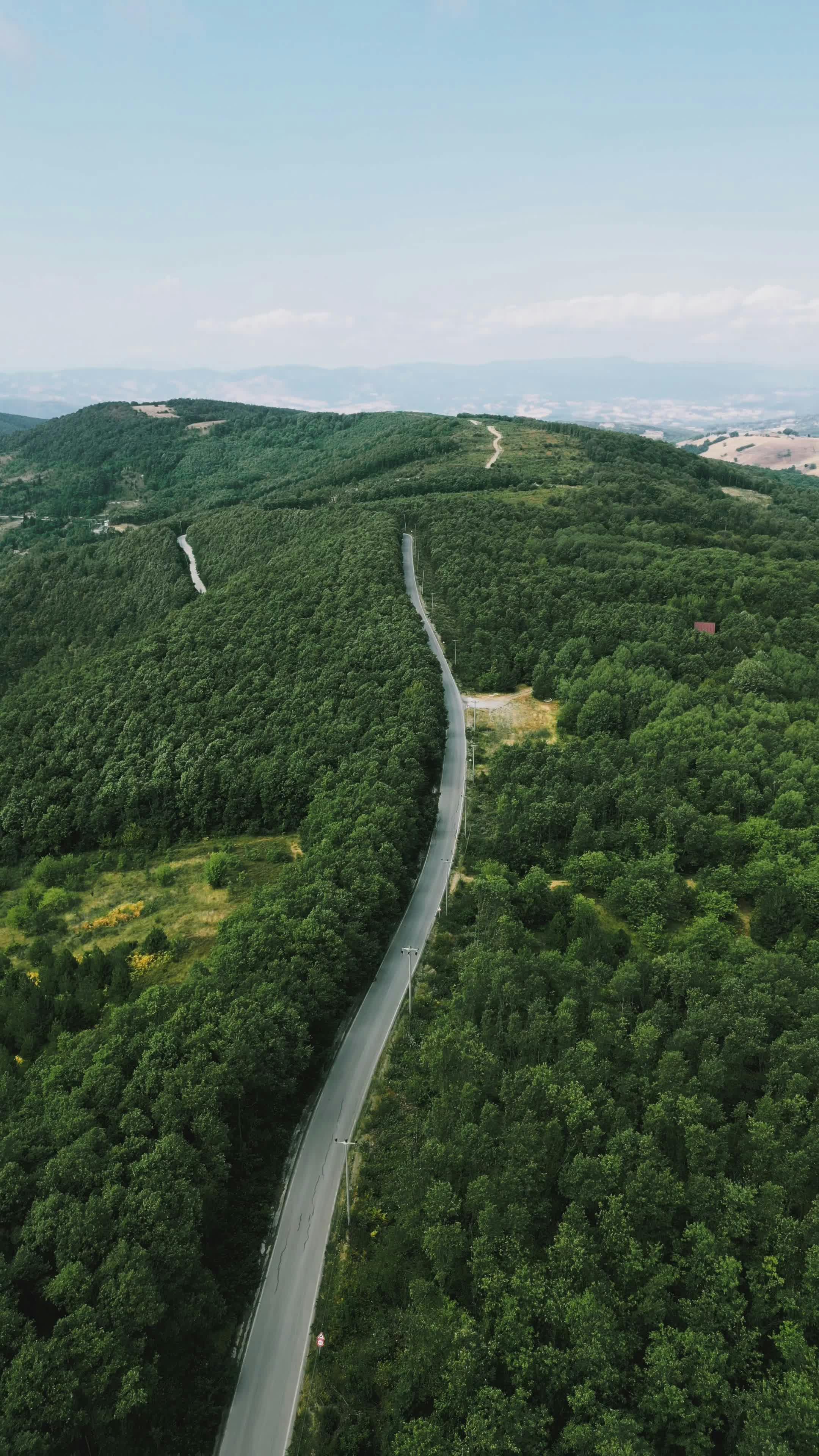 Tree Confessions Videos, Download The BEST Free 4k Stock Video Footage ...