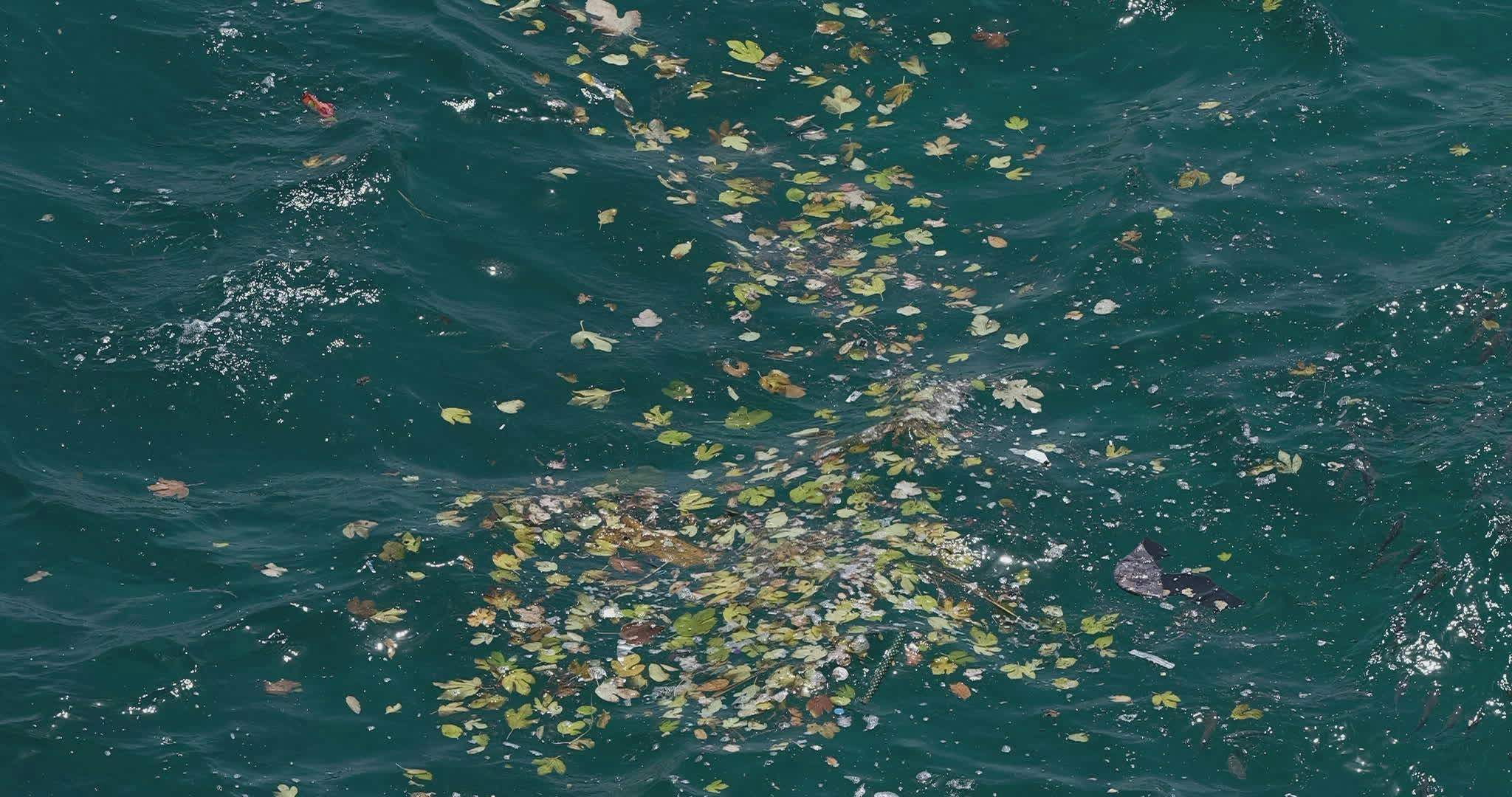 Plastic Waste Floating in Ocean Polluting Water Free Stock Video ...