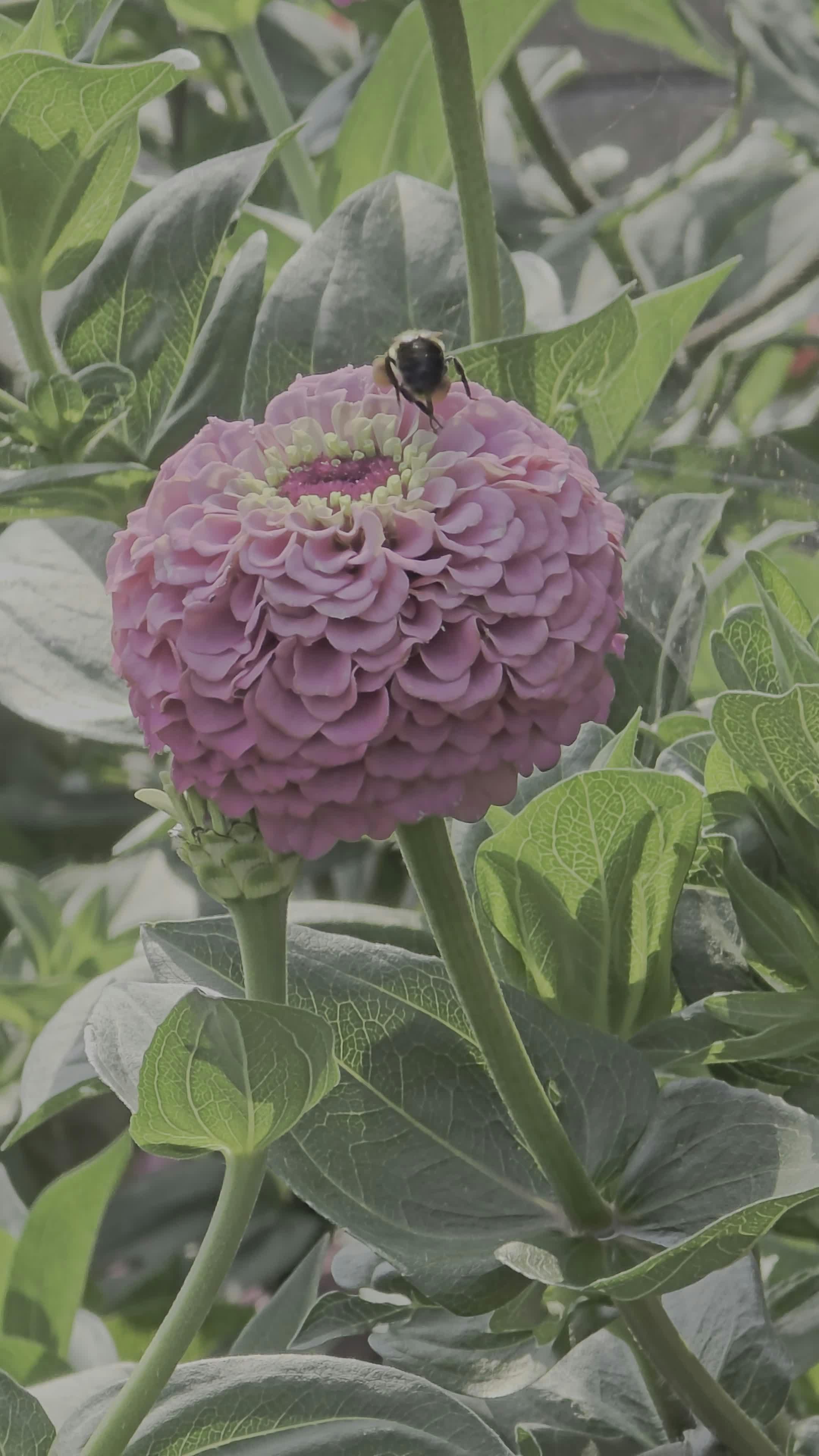 8k Hd Wallpapers Videos, Download The BEST Free 4k Stock Video Footage ...