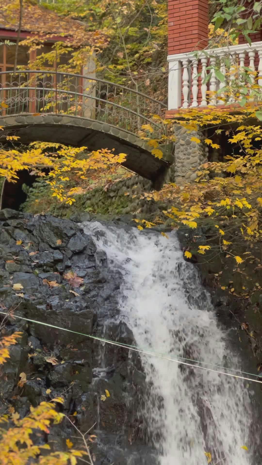 Stream Waterfall Videos, Download The BEST Free 4k Stock Video Footage ...