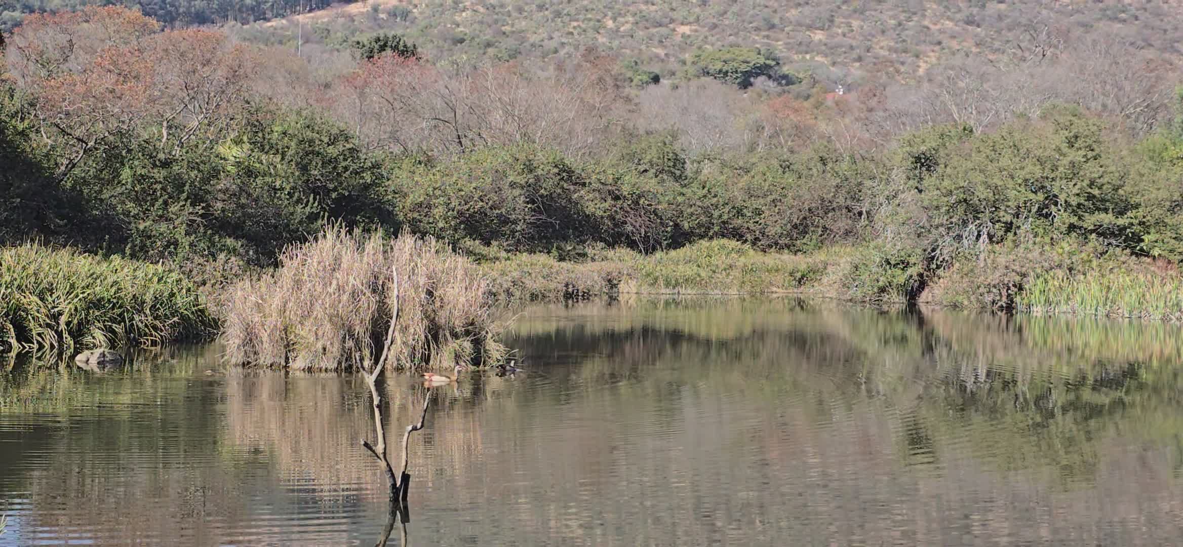Year Climate Videos, Download The BEST Free 4k Stock Video Footage ...
