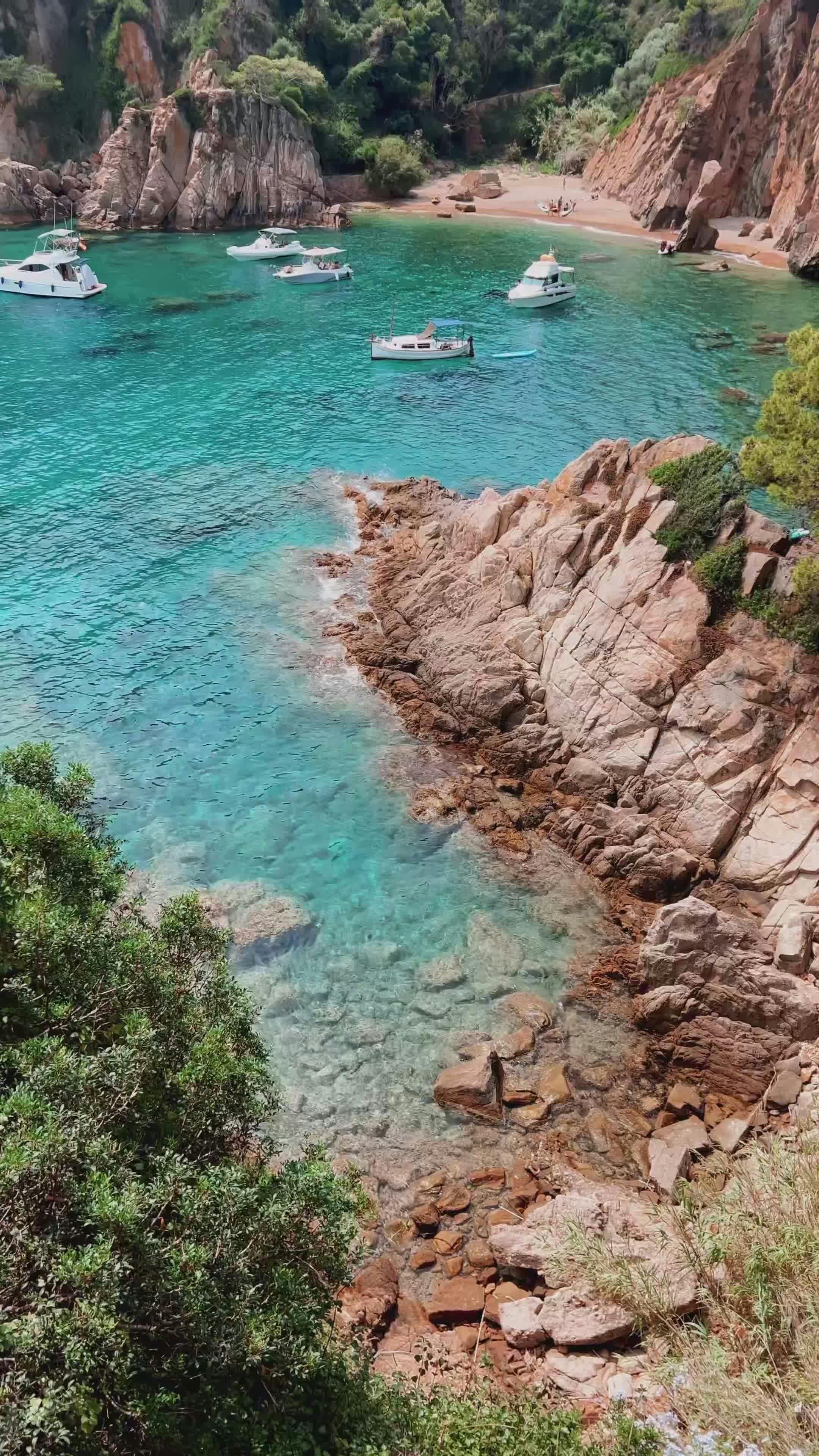 Boats Boats Videos, Download The BEST Free 4k Stock Video Footage ...