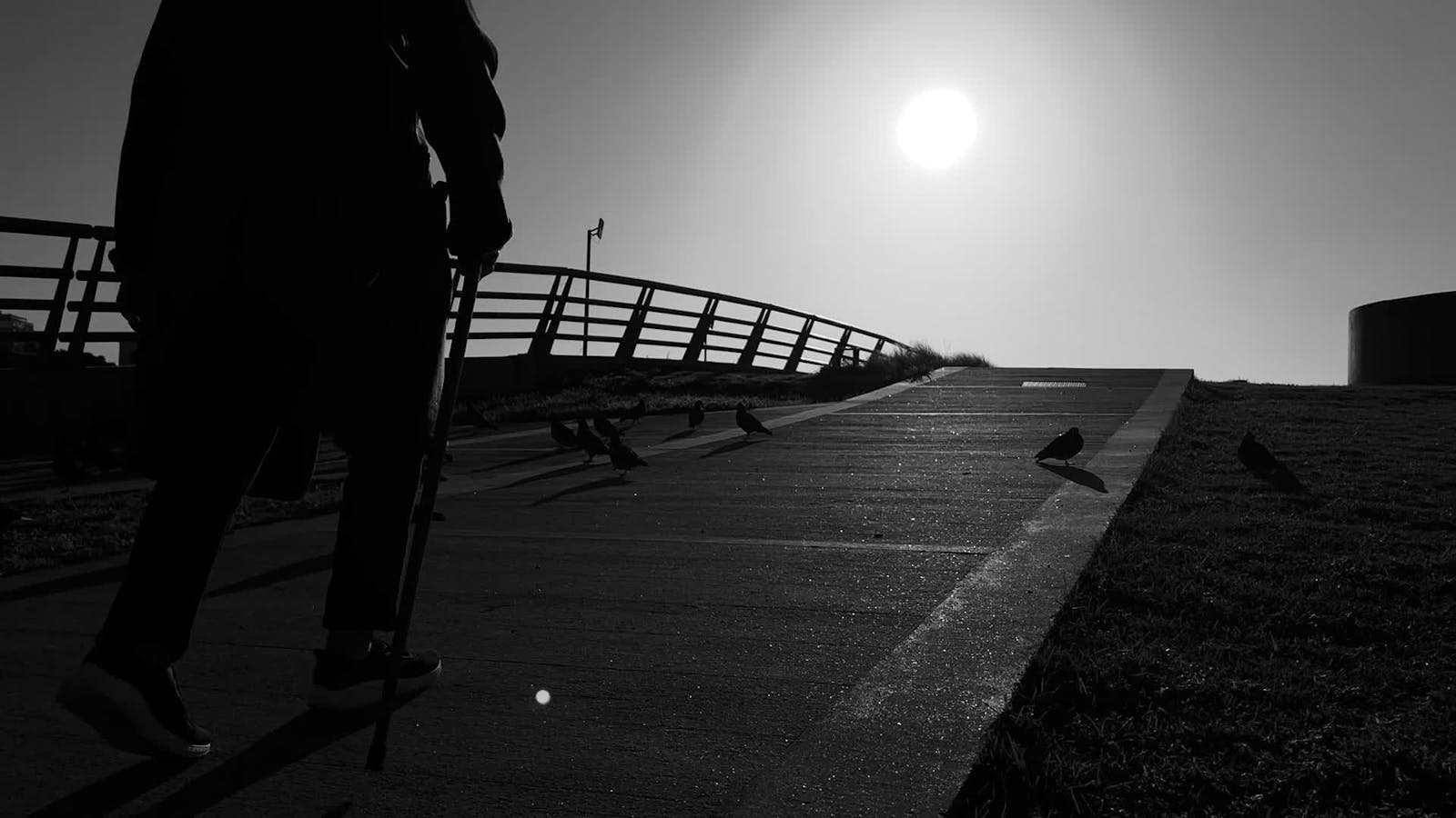 Short Video Videos, Download The BEST Free 4k Stock Video Footage ...