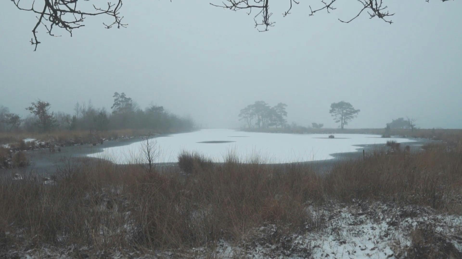 Video Of Melting Ice Free Stock Video Footage, Royalty-Free 4K & HD ...