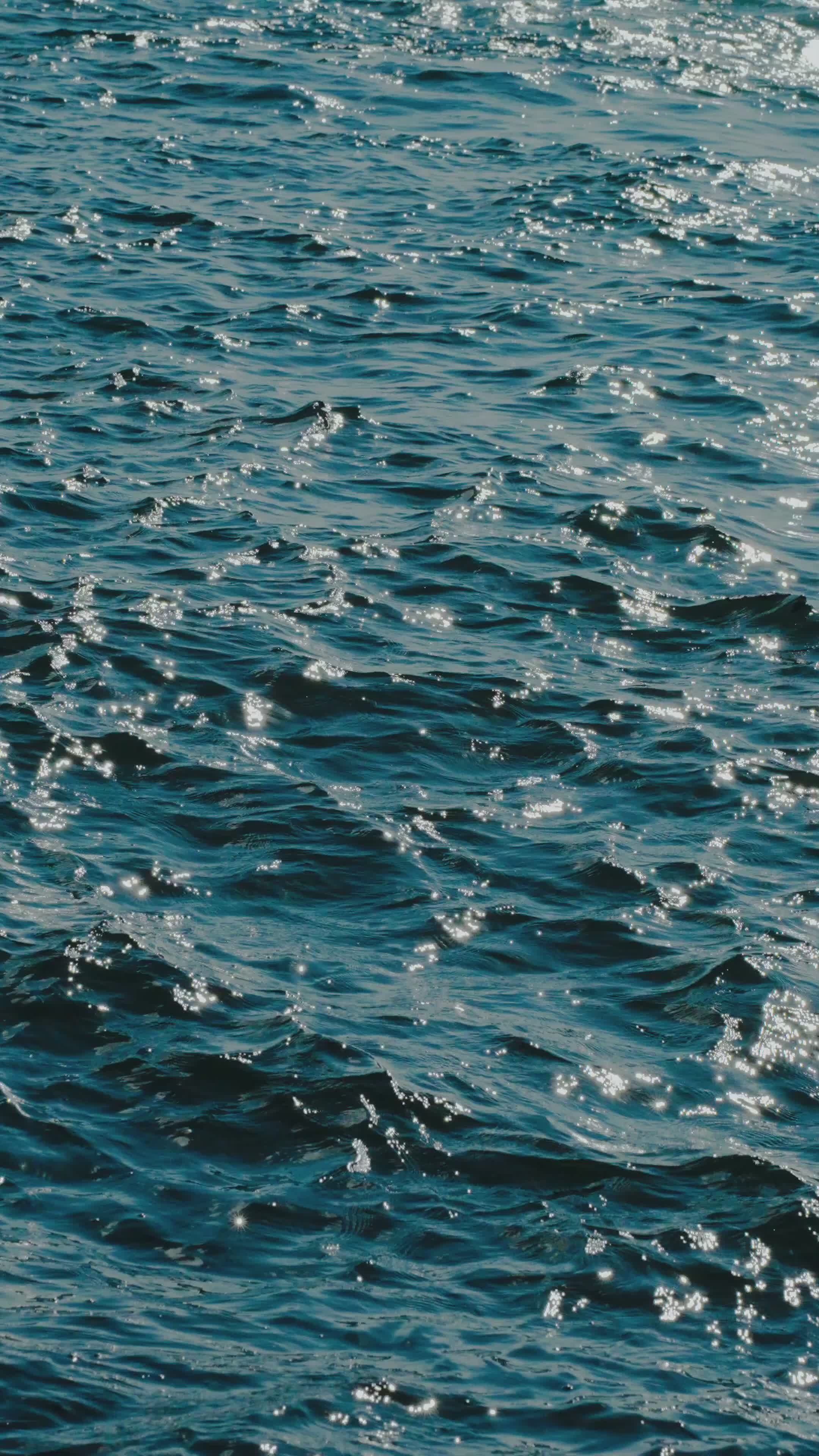Calm Ocean Waves Lapping at the Surface Free Stock Video Footage ...