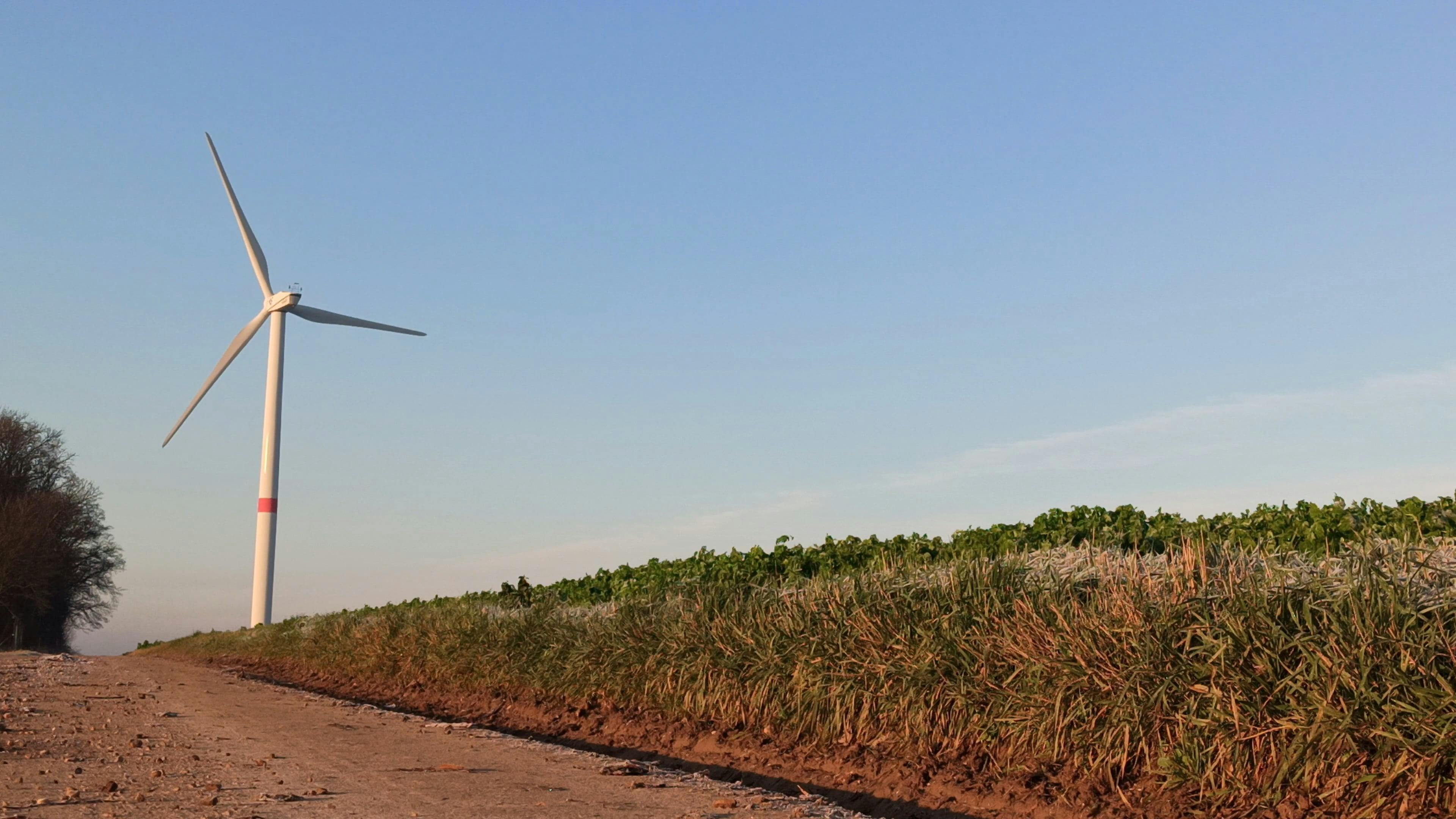 Wind Farm · Free Stock Video
