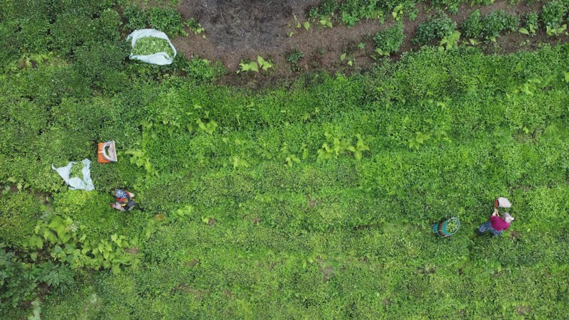 Omegle+Captures+Gallery Videos, Download The BEST Free 4k Stock Video ...